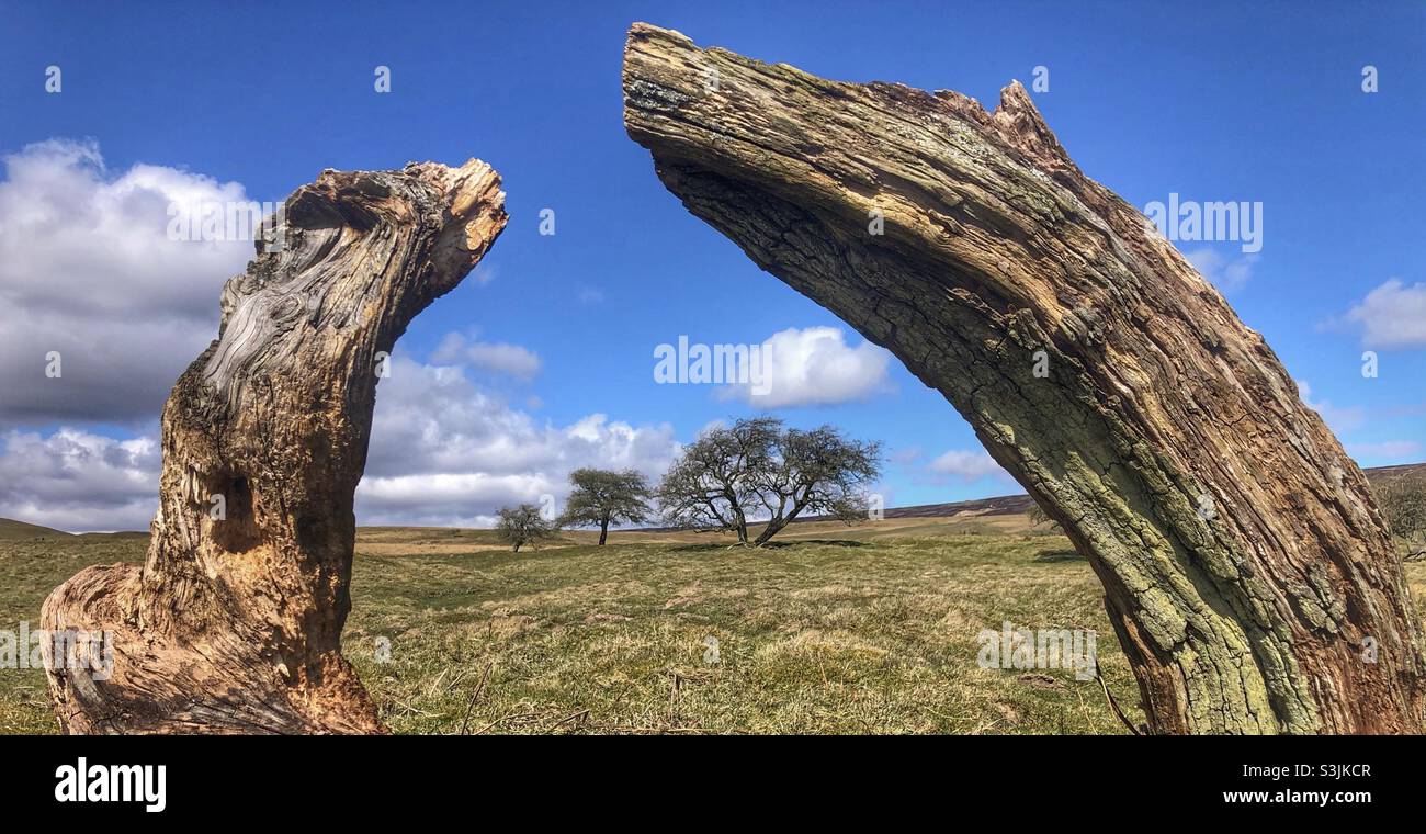 Carperby yorkshire hi-res stock photography and images - Alamy