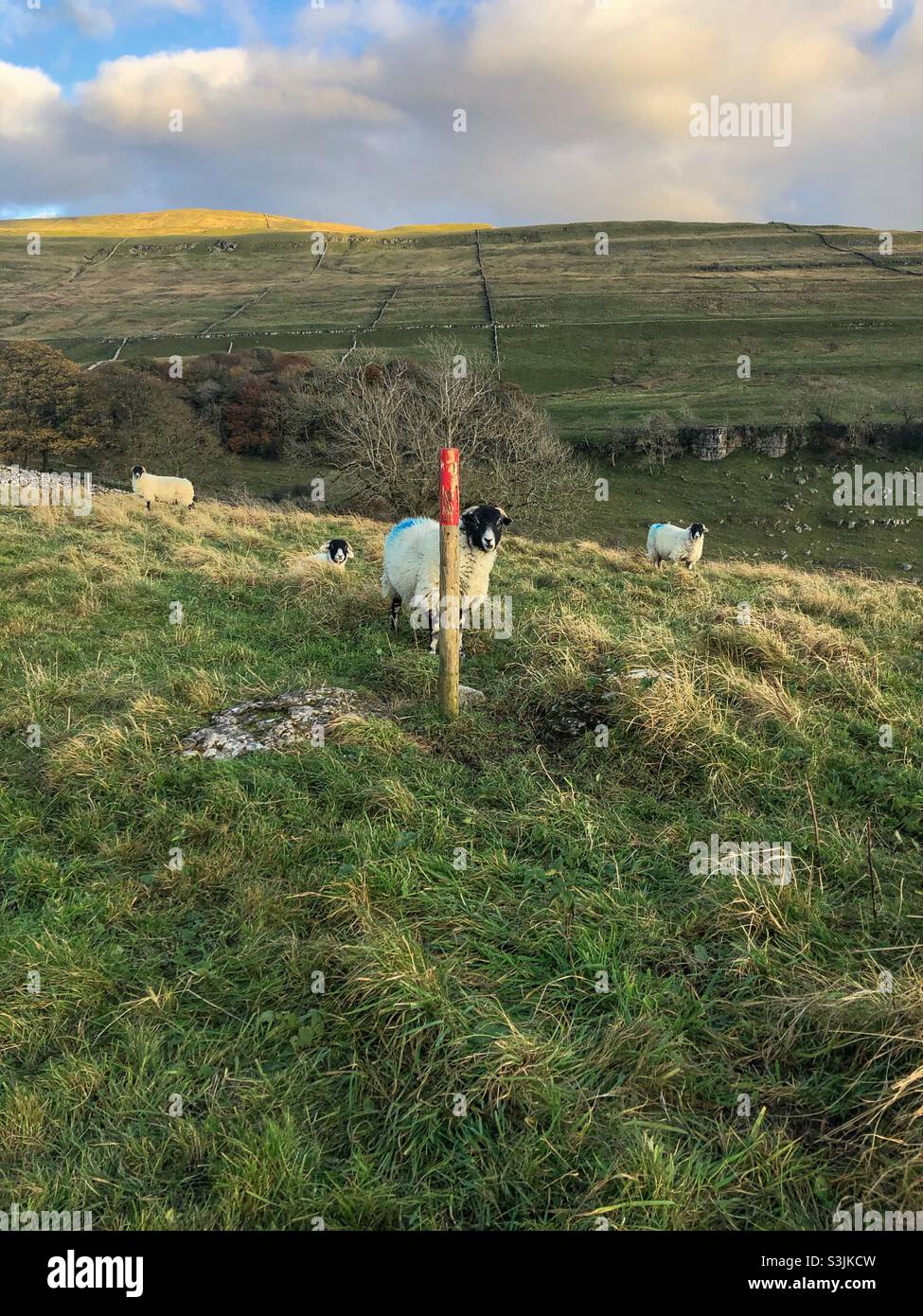 Hiding hide hi-res stock photography and images - Alamy