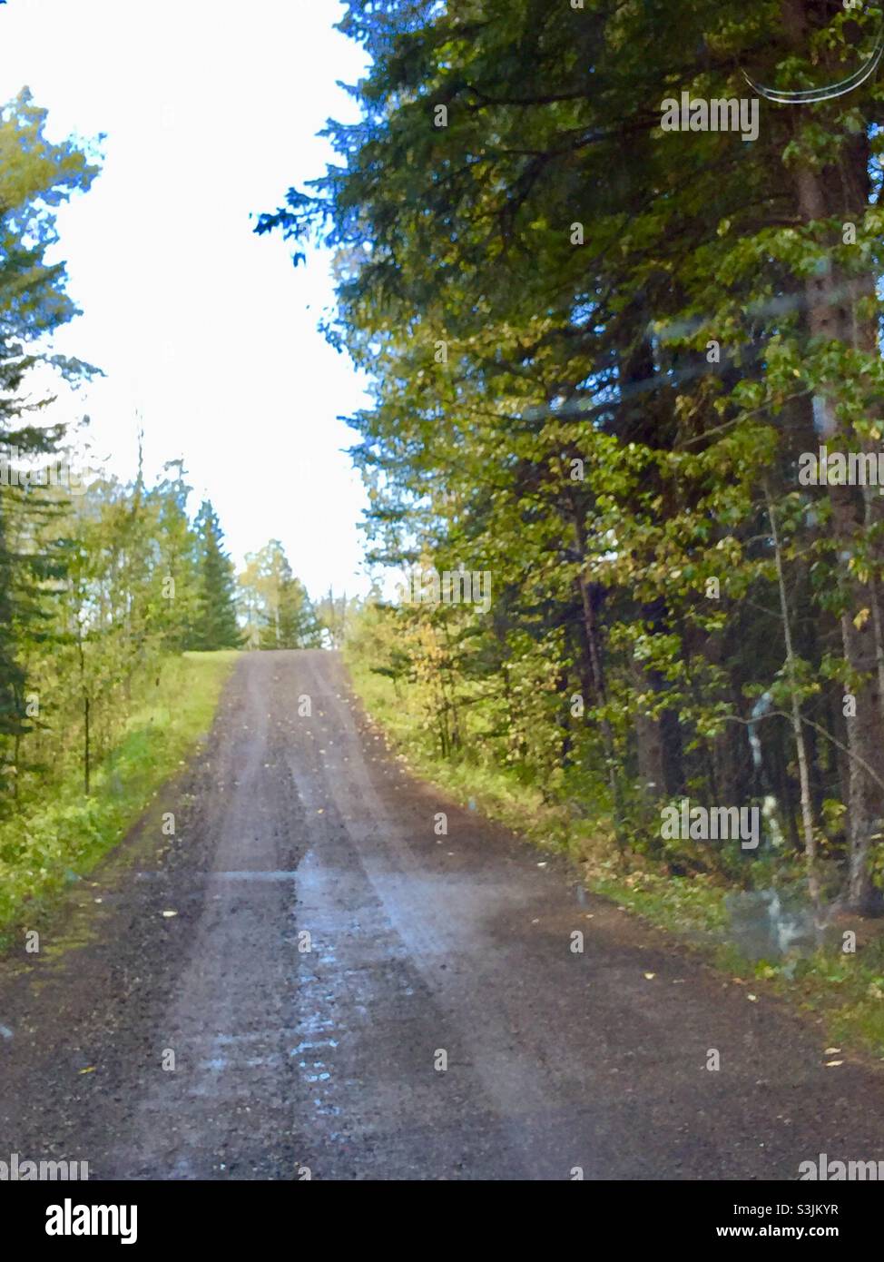 Driveway forest hi-res stock photography and images - Alamy