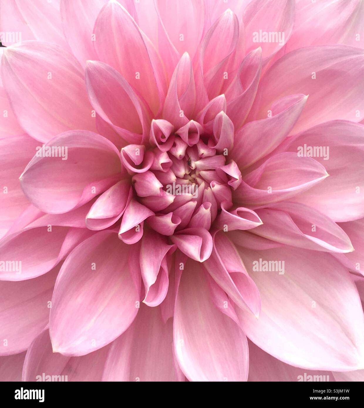 Gentle nature hi-res stock photography and images - Alamy