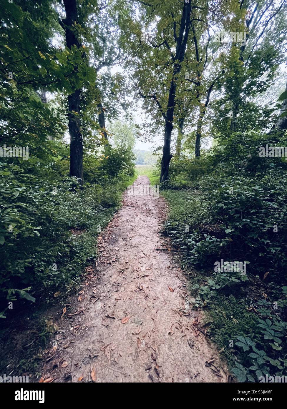 Follow your path hi-res stock photography and images - Alamy