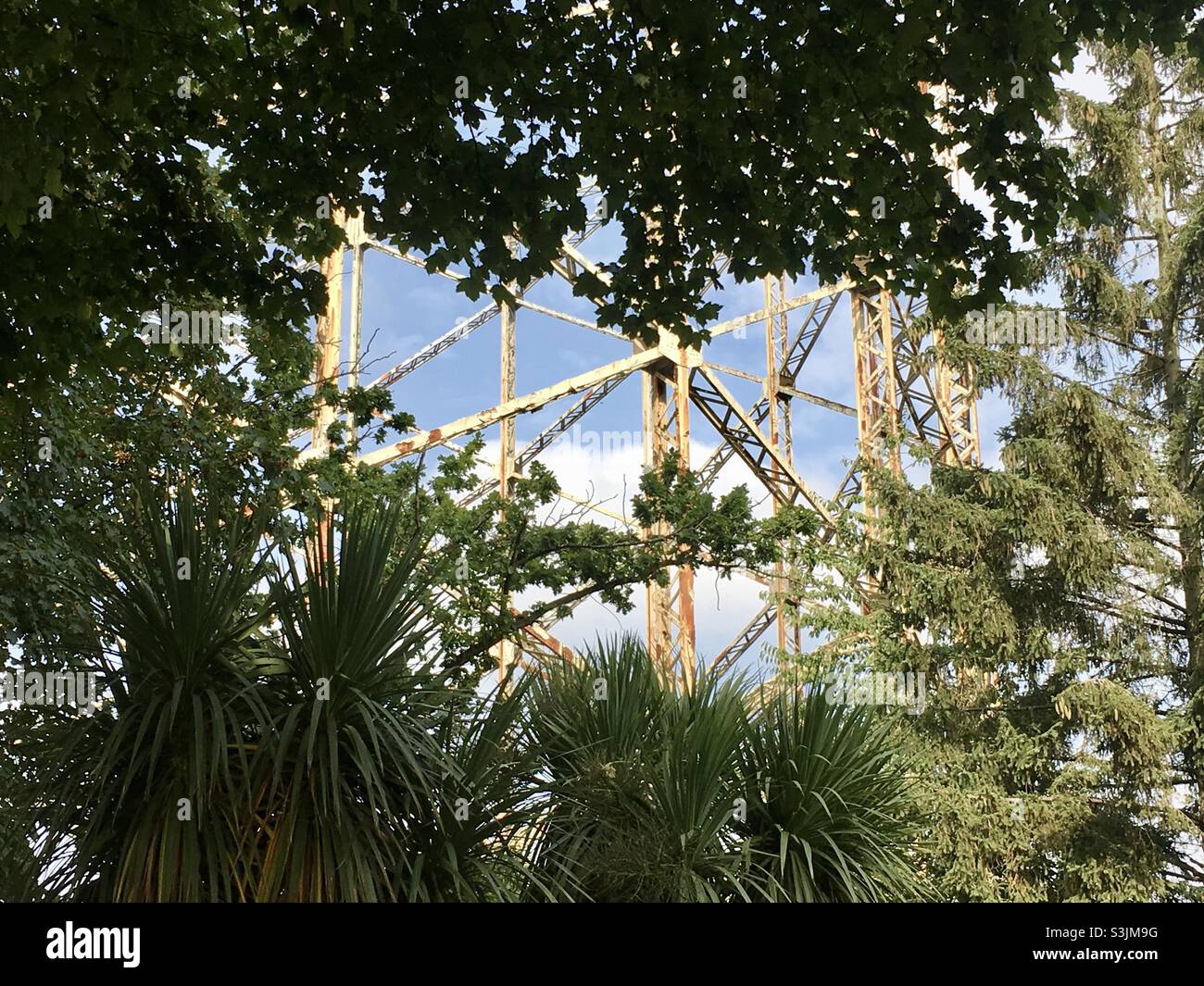 Steel palm hi-res stock photography and images - Alamy