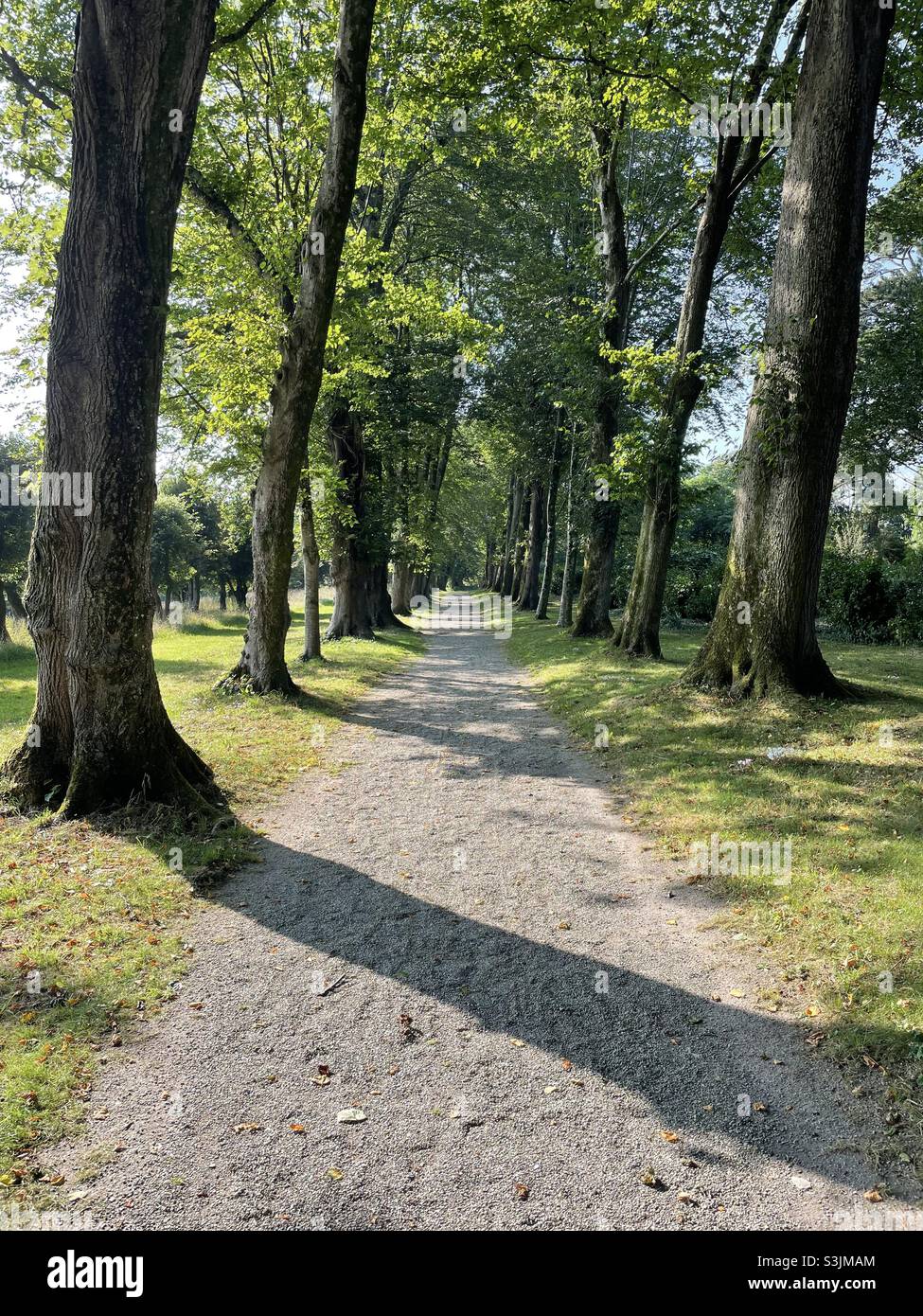 Mystical path hi-res stock photography and images - Alamy