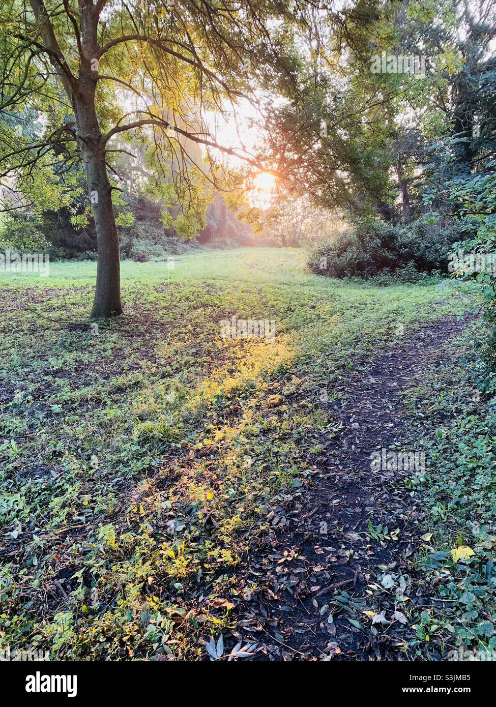 Walking sunshine countryside hi-res stock photography and images - Alamy