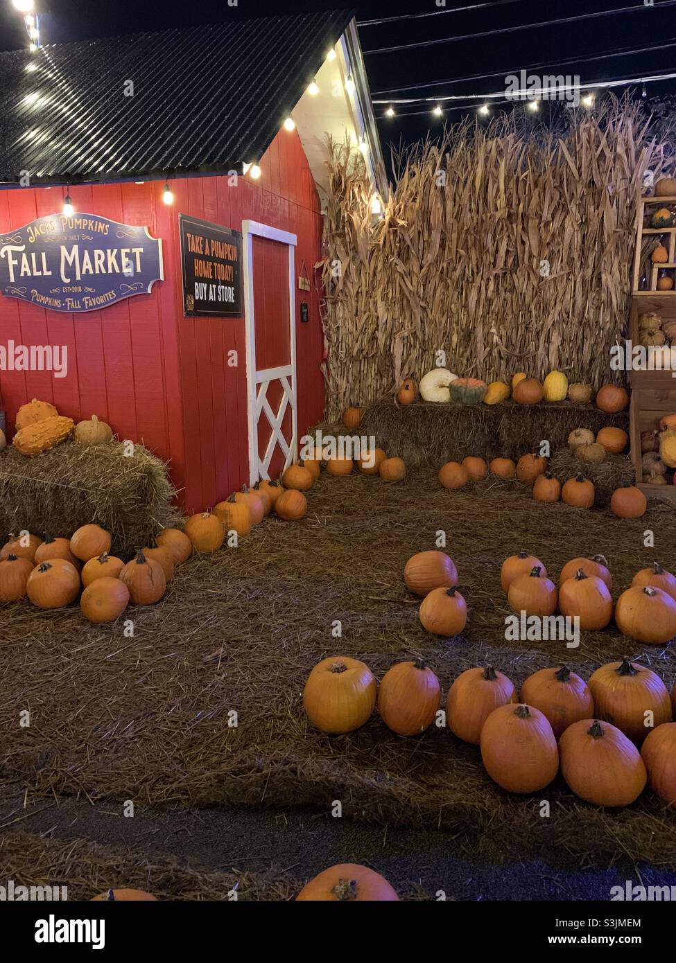 Stacks of pumpkins hi-res stock photography and images - Alamy