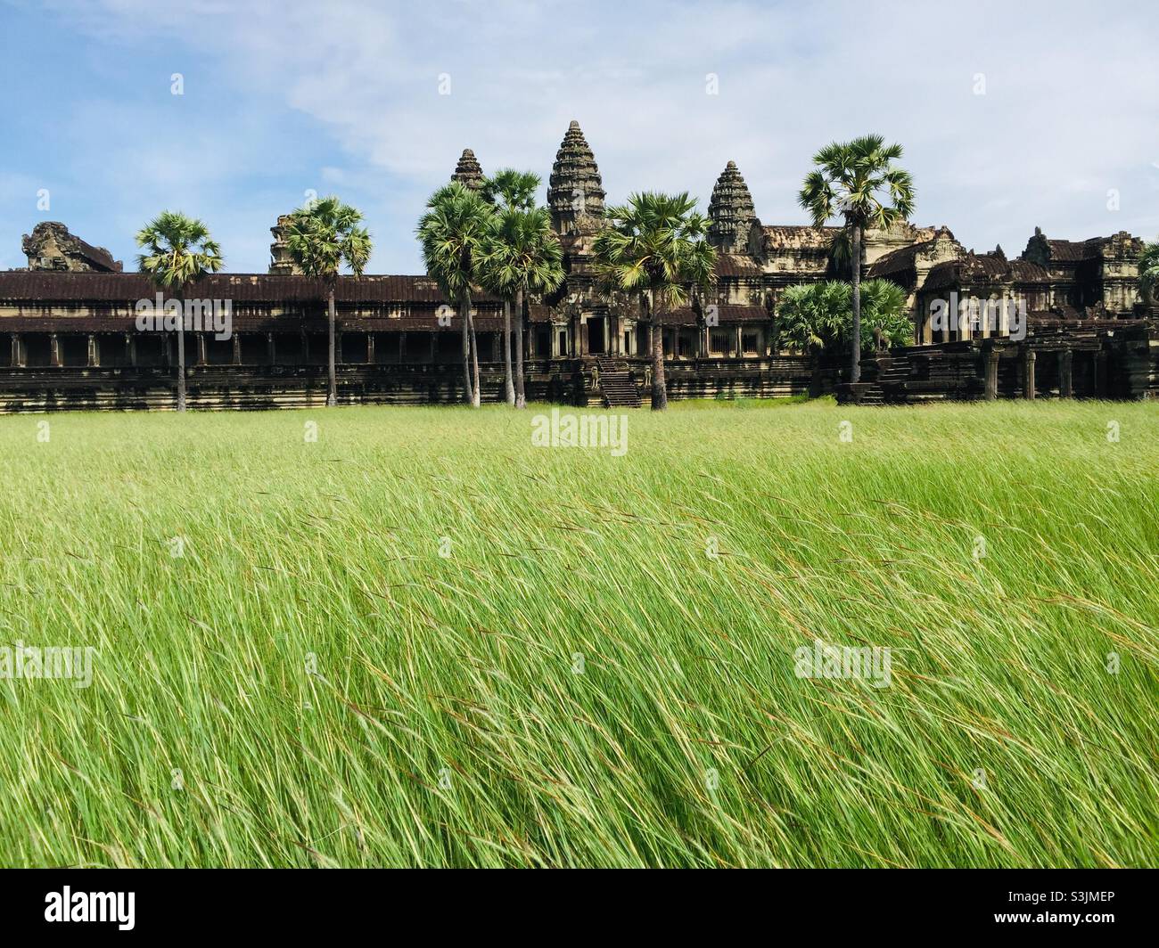 Beautiful green environment hi-res stock photography and images - Alamy