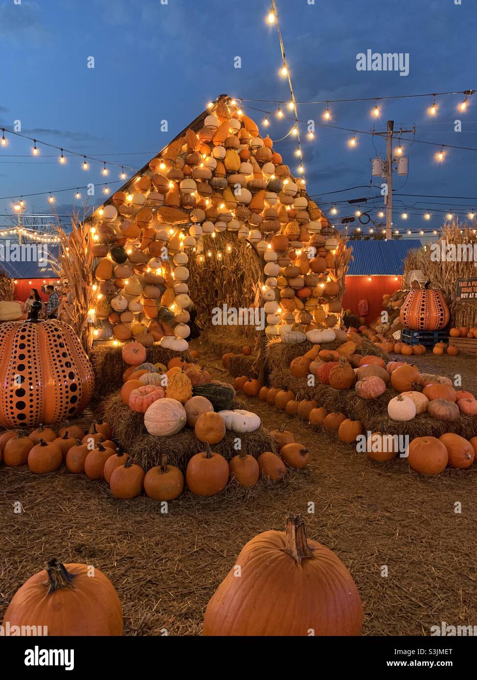 Jacks pumpkin hi-res stock photography and images - Alamy