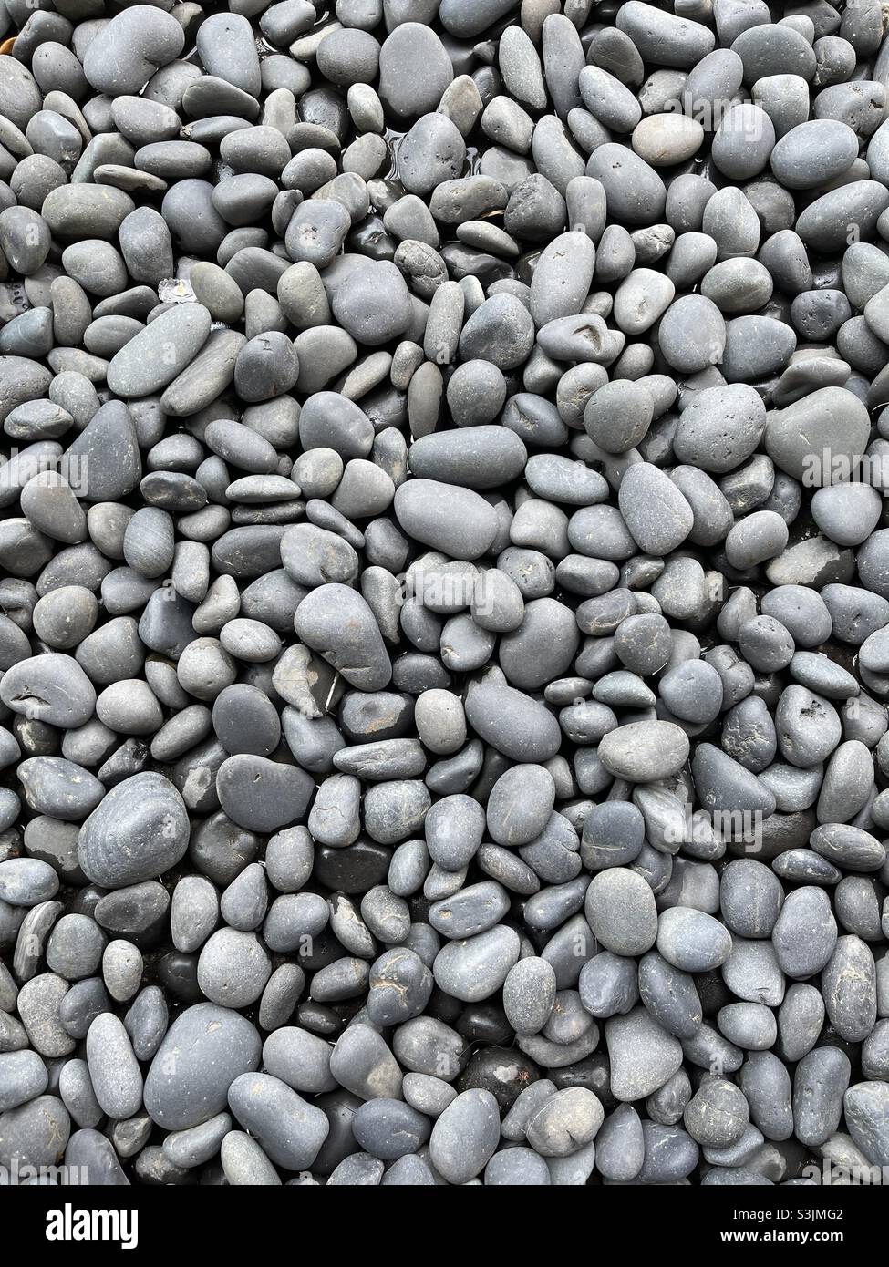 All shapes and sizes hi-res stock photography and images - Alamy