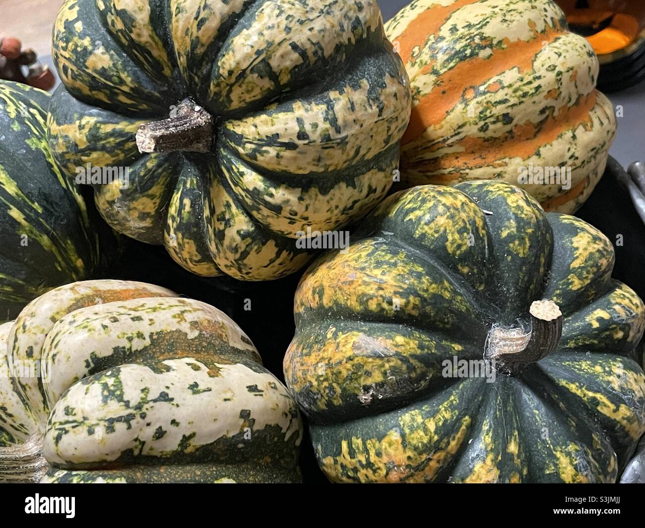 Colorful mini pumpkins hi-res stock photography and images - Alamy