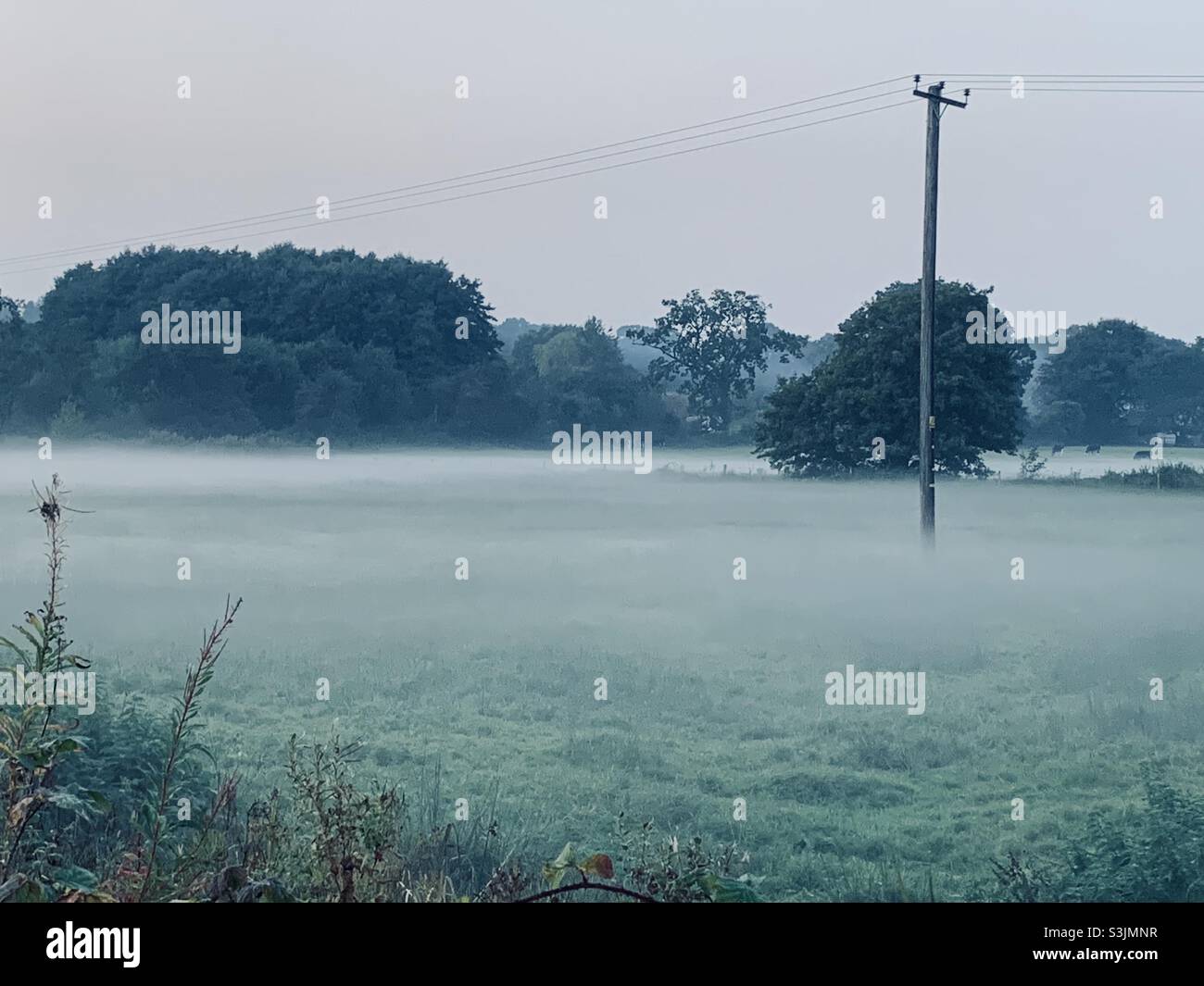 Mist rolling in on marshes Stock Photo - Alamy