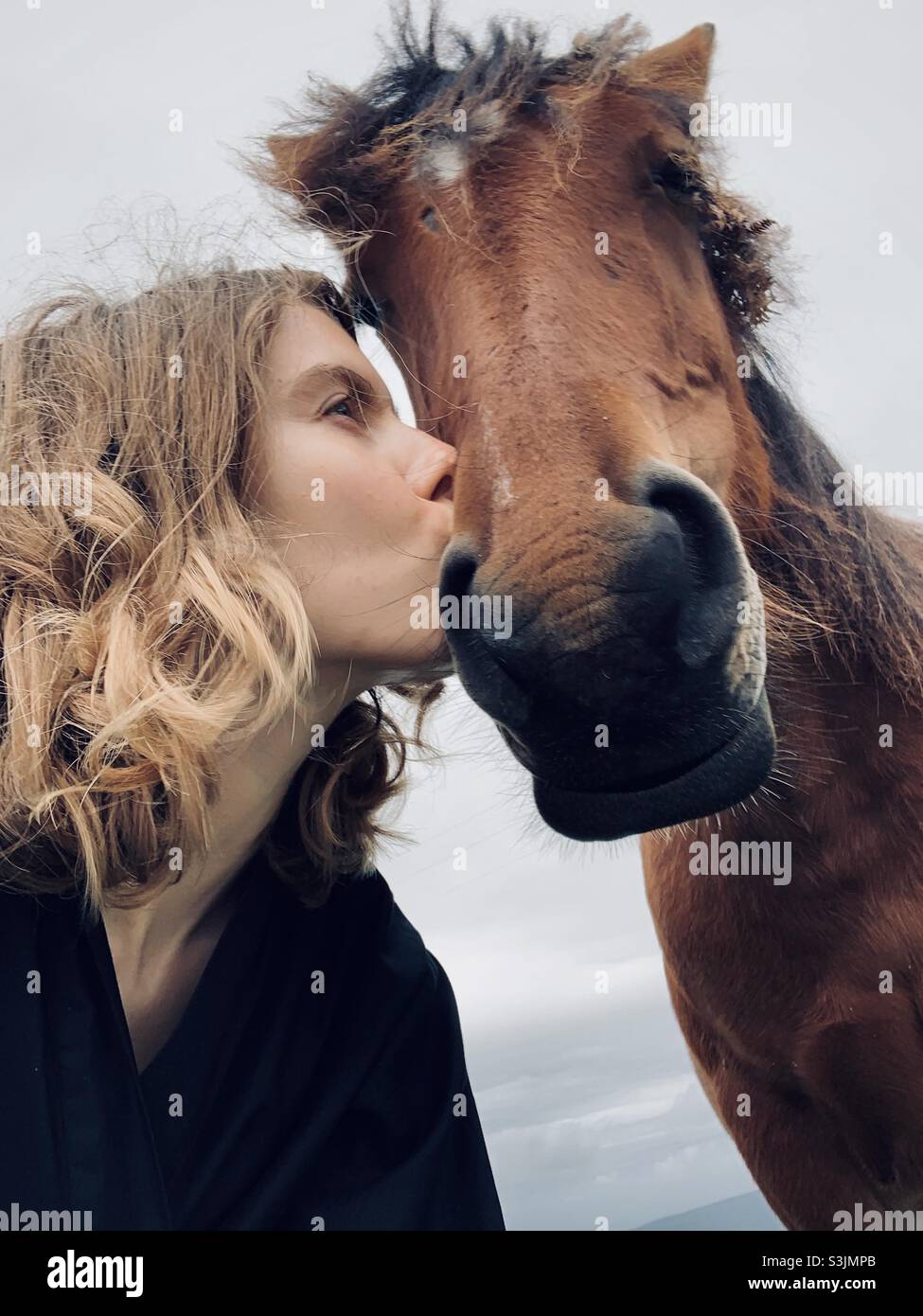 Horse Kiss High Resolution Stock Photography and Images - Alamy