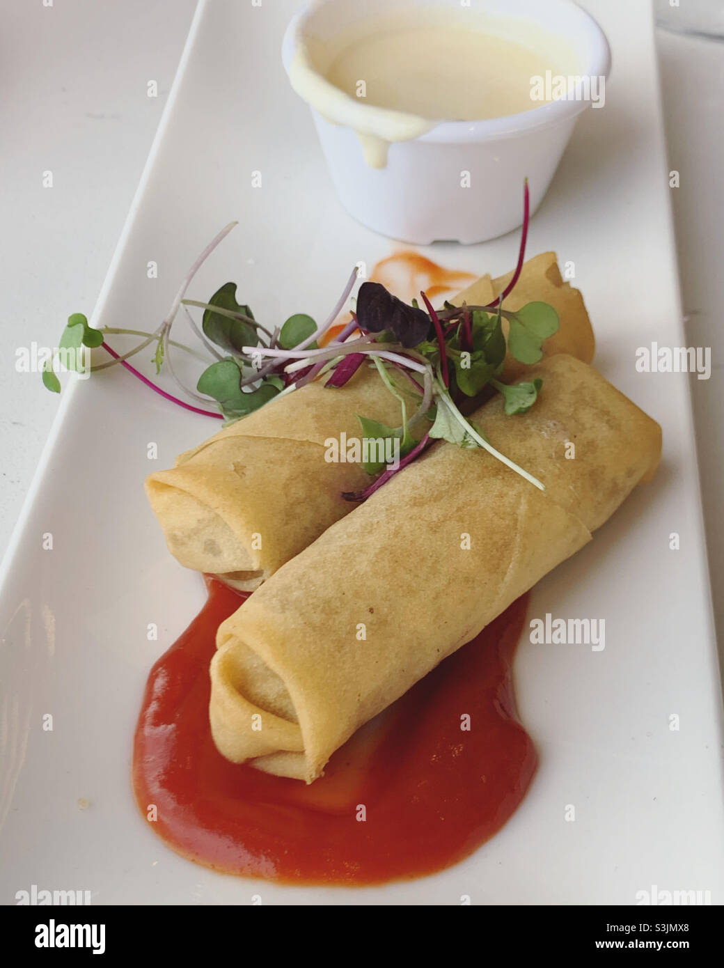 Cheesesteak spring rolls, Chelsea Five Gastropub, Tropicana, Atlantic ...
