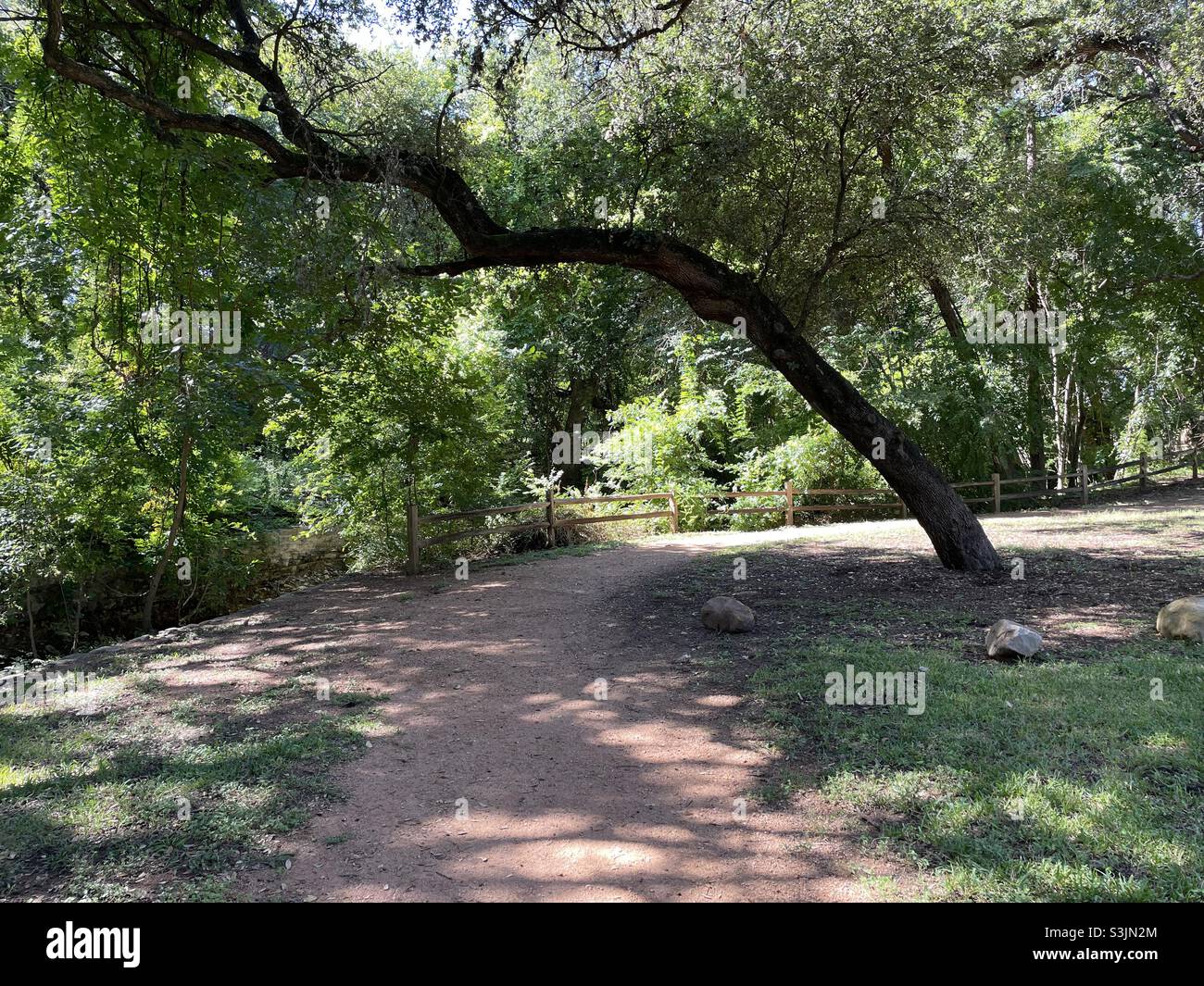 Two paths hi-res stock photography and images - Alamy