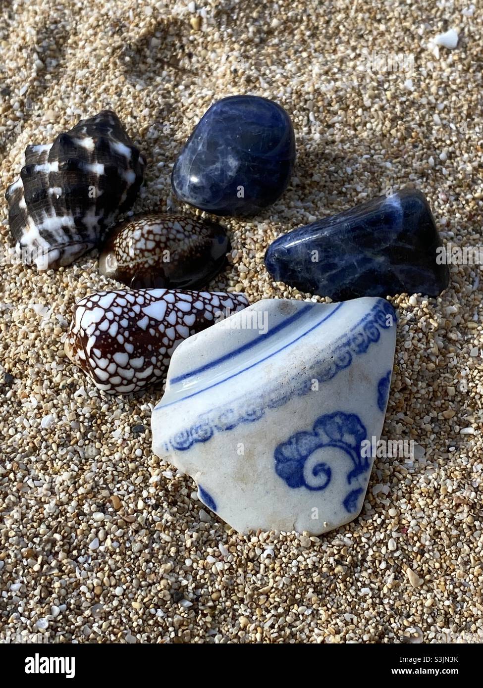 Seashells and pottery on tan sand Stock Photo - Alamy