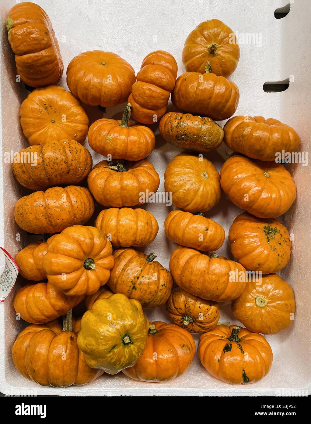 Mini orange hi-res stock photography and images - Alamy