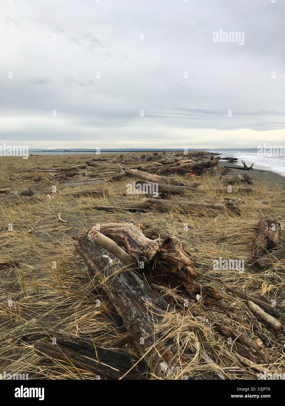 Damon point hi-res stock photography and images - Alamy