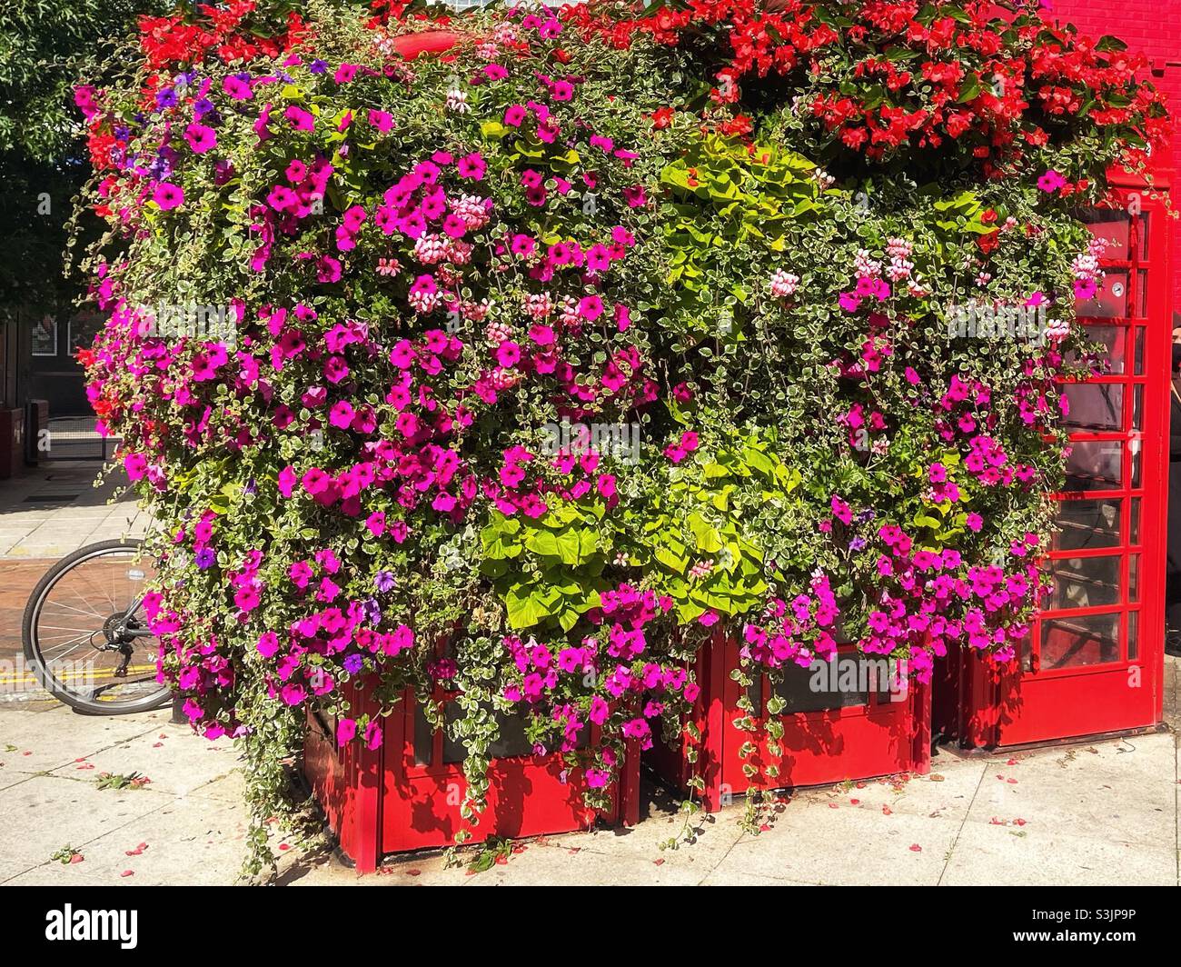 London flower box spring summer hi-res stock photography and images - Alamy
