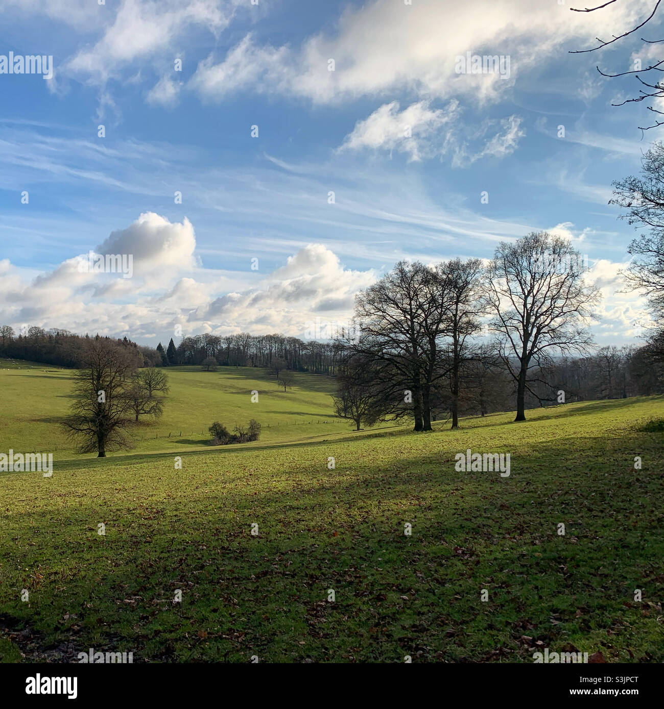 Afternoon field hi-res stock photography and images - Alamy