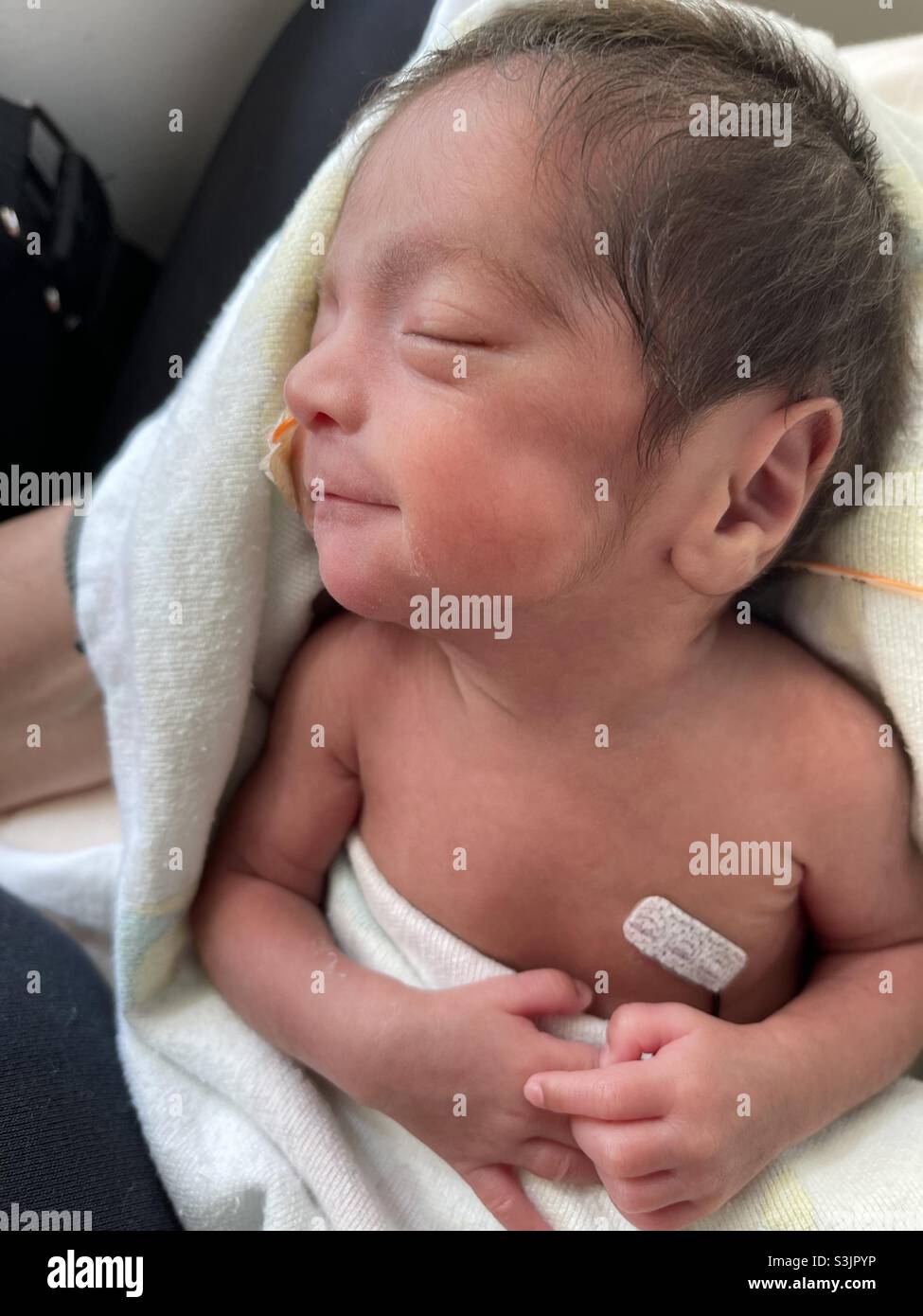 Nicu hi-res stock photography and images - Alamy