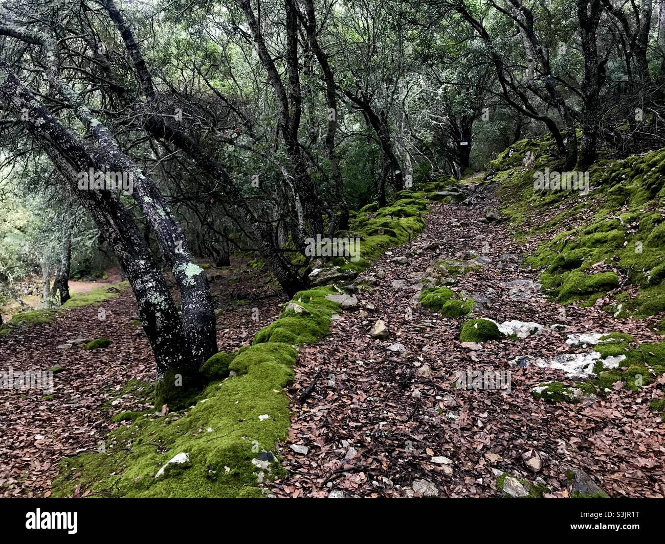 Old path hi-res stock photography and images - Alamy