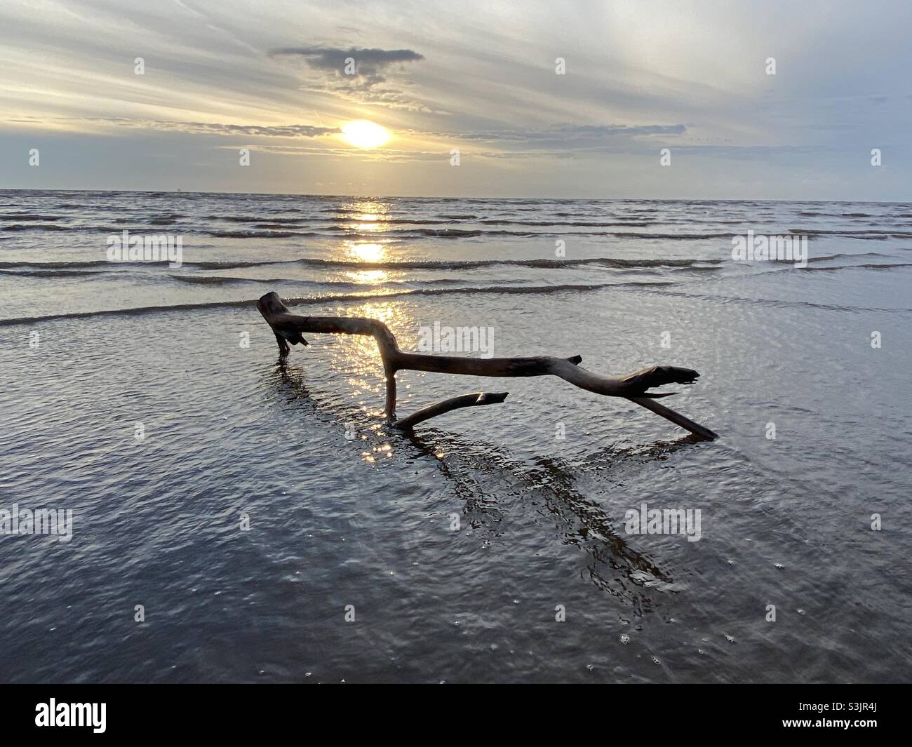 Stick in landscape Stock Photo - Alamy