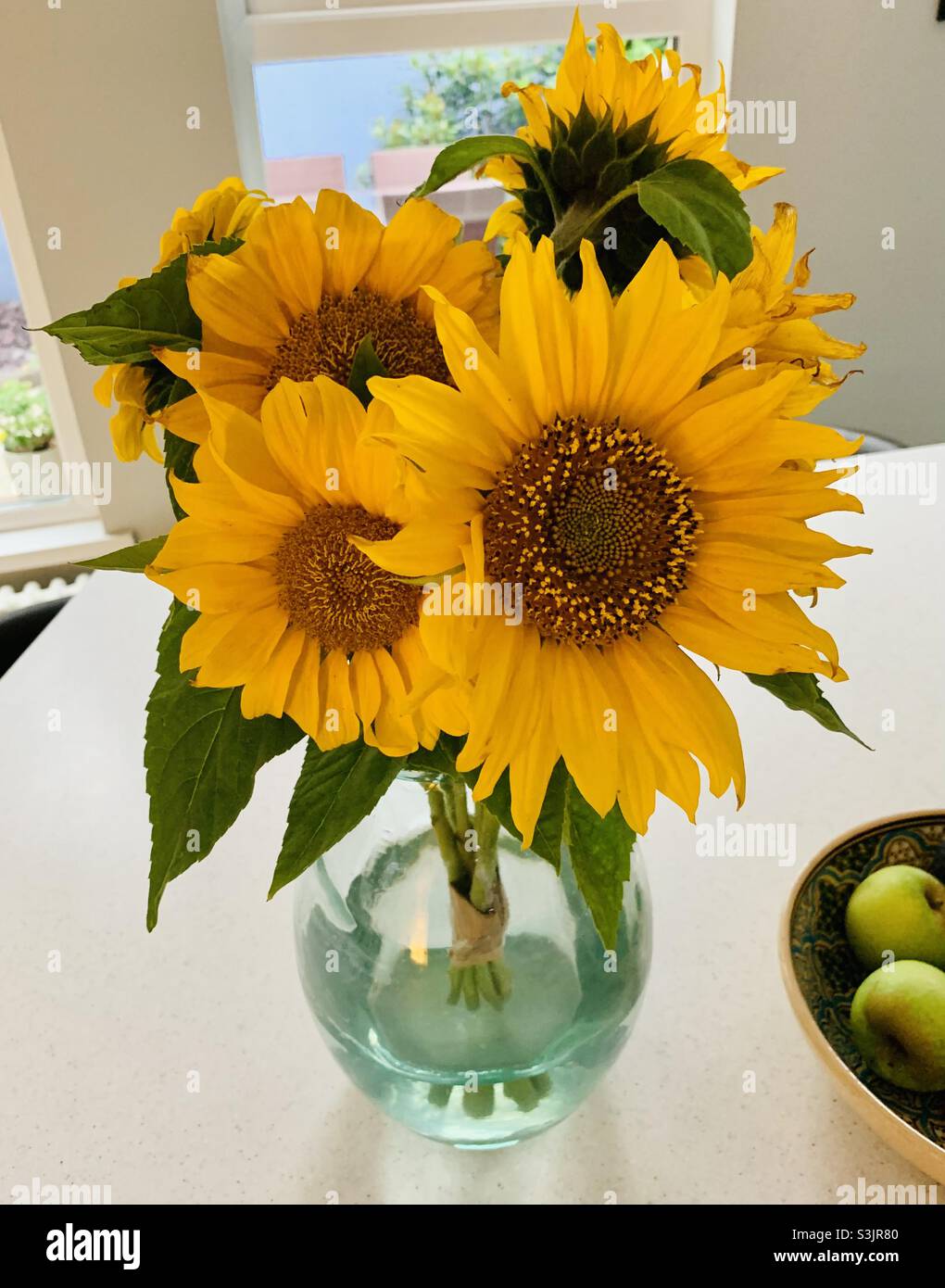 Sunflowers vase hi-res stock photography and images - Alamy