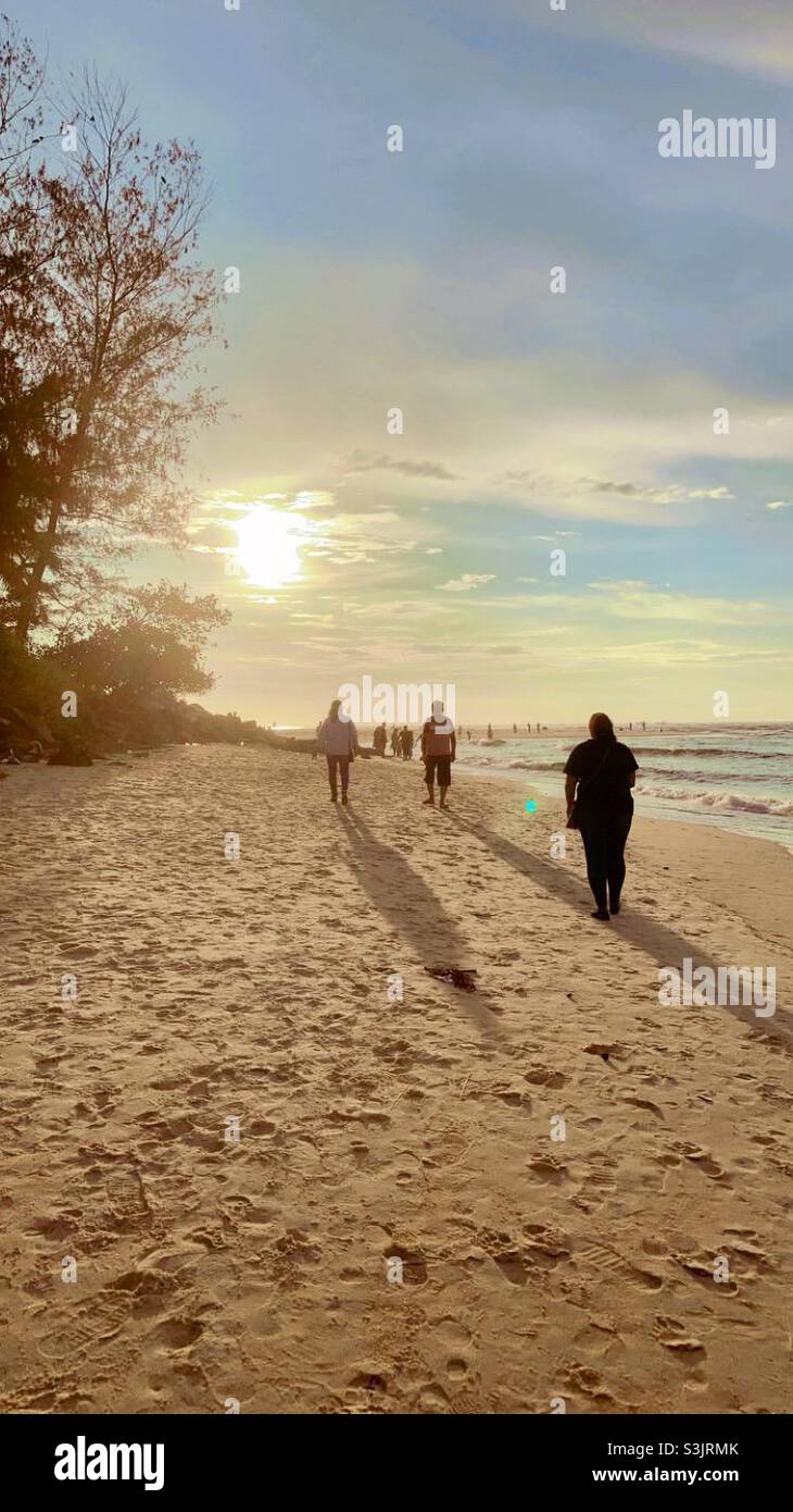 Walk at the beach Stock Photo - Alamy