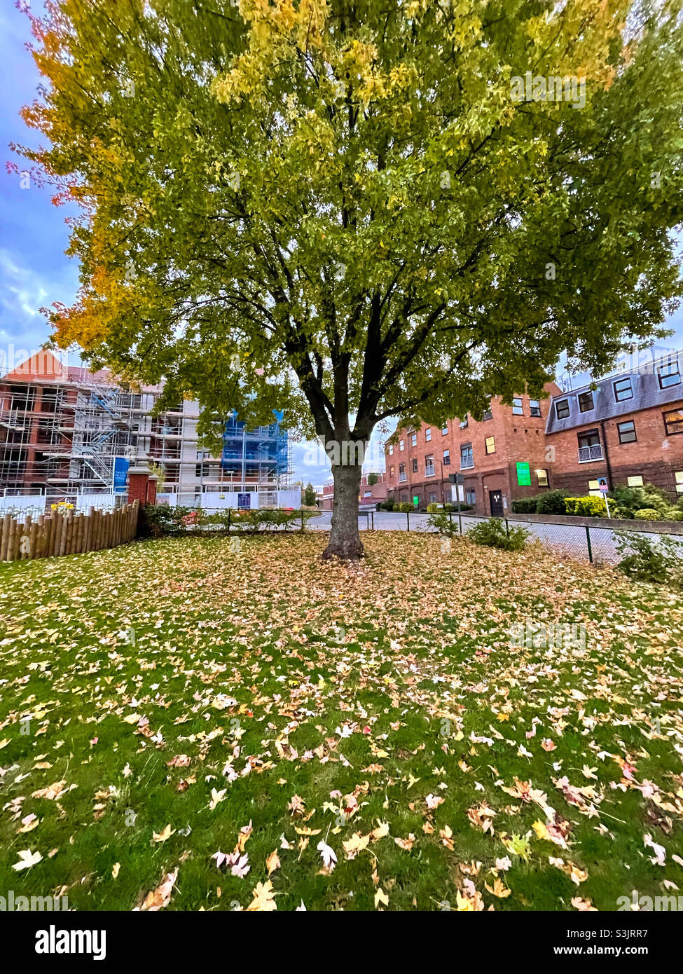UK fall season Stock Photo - Alamy