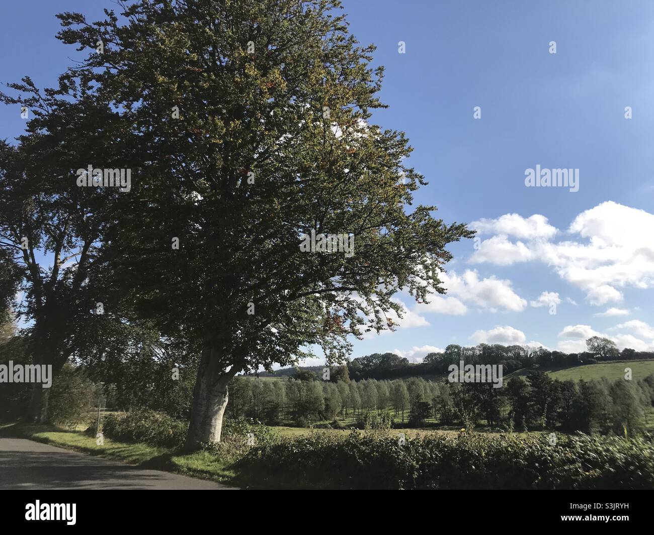 Nadder valley hi-res stock photography and images - Alamy