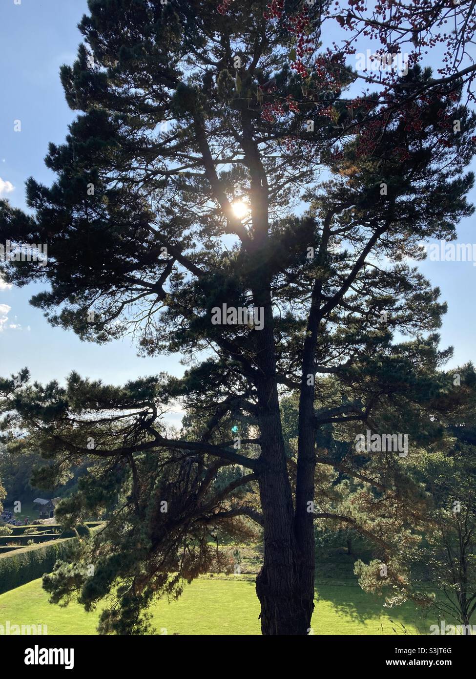 English sun hi-res stock photography and images - Alamy