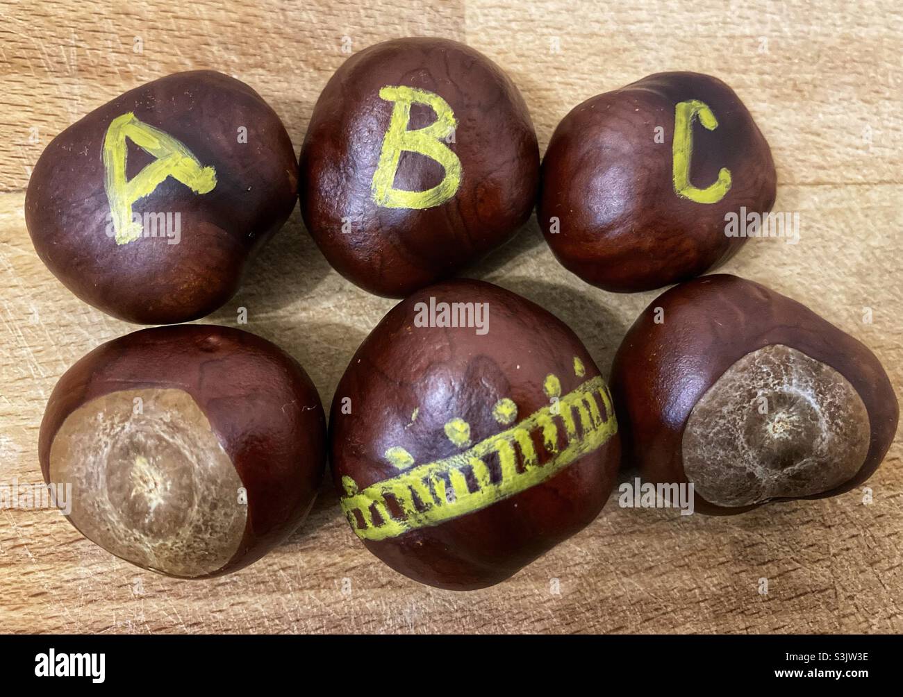 Chestnut set with golden letters ABC written on them and simple pattern ...