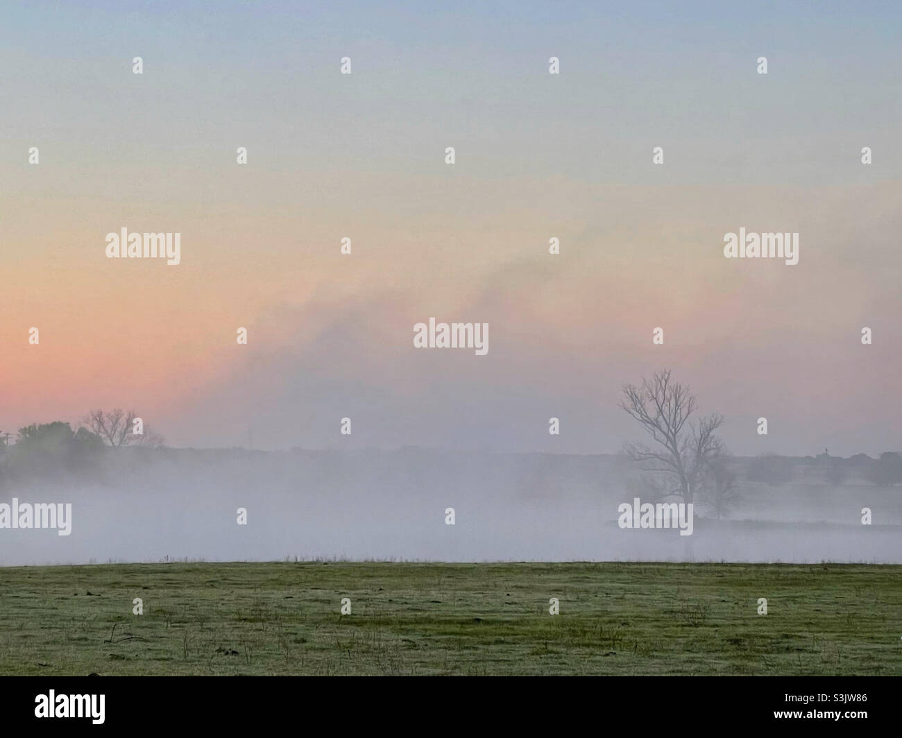 Farm pond hi-res stock photography and images - Alamy