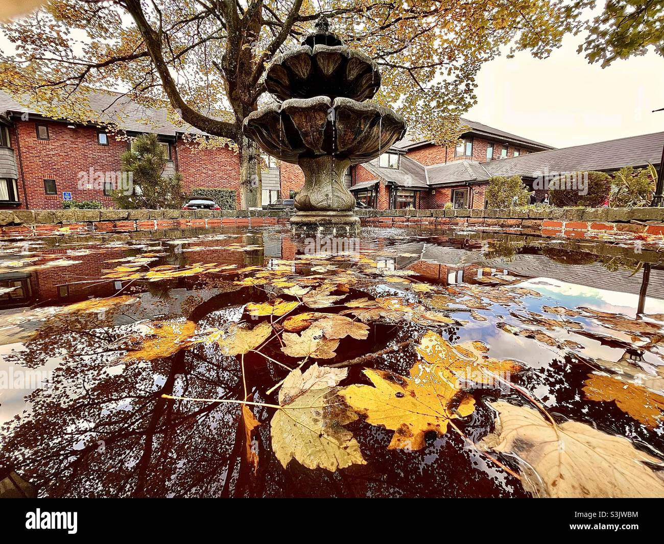 Fountain with leaves hi-res stock photography and images - Alamy