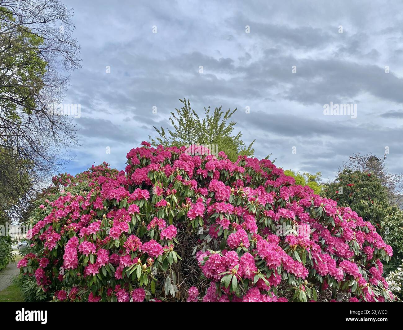 Waimate hi-res stock photography and images - Alamy
