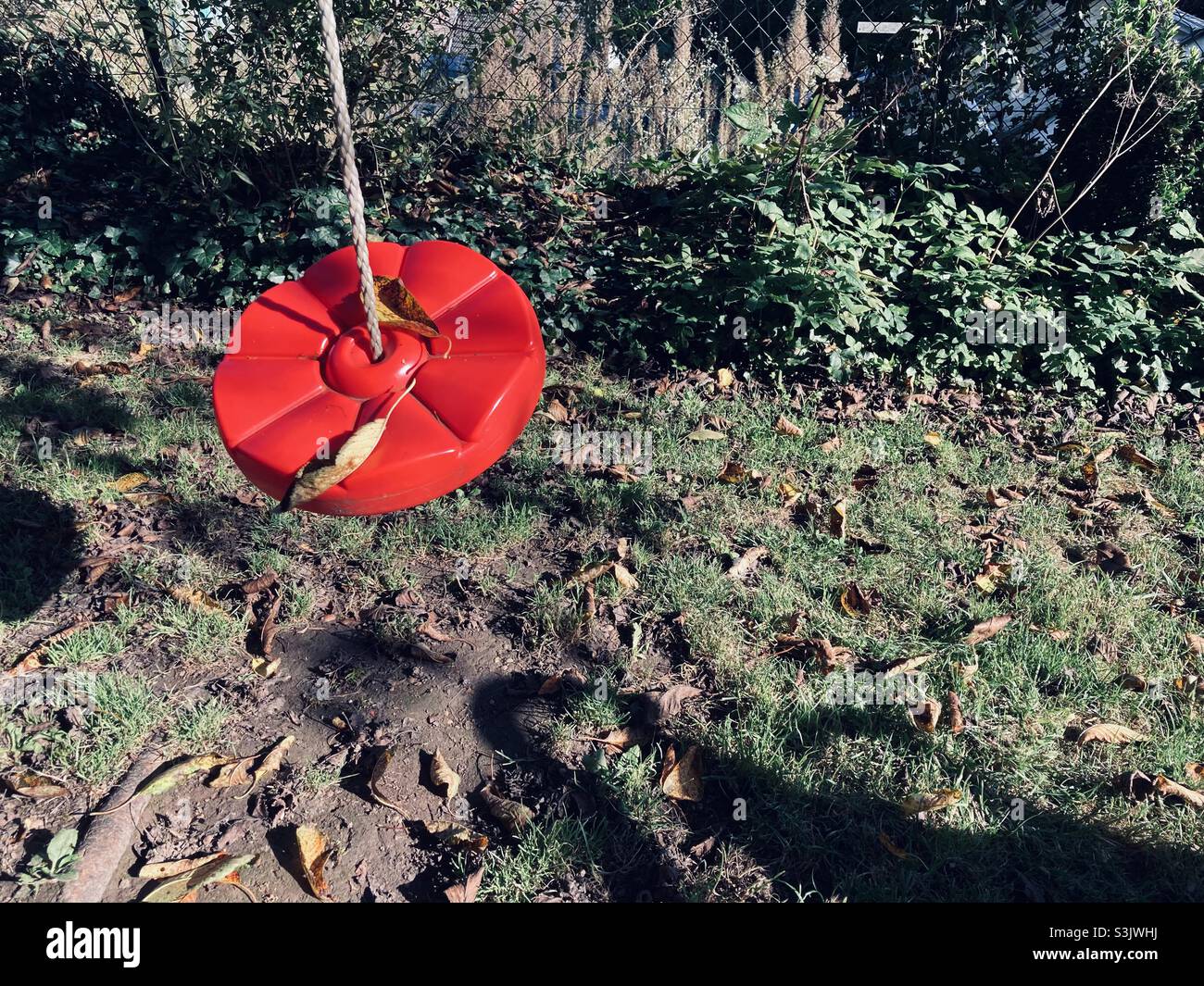 A red round swing hangs on a rope abandoned in autumn Stock Photo - Alamy