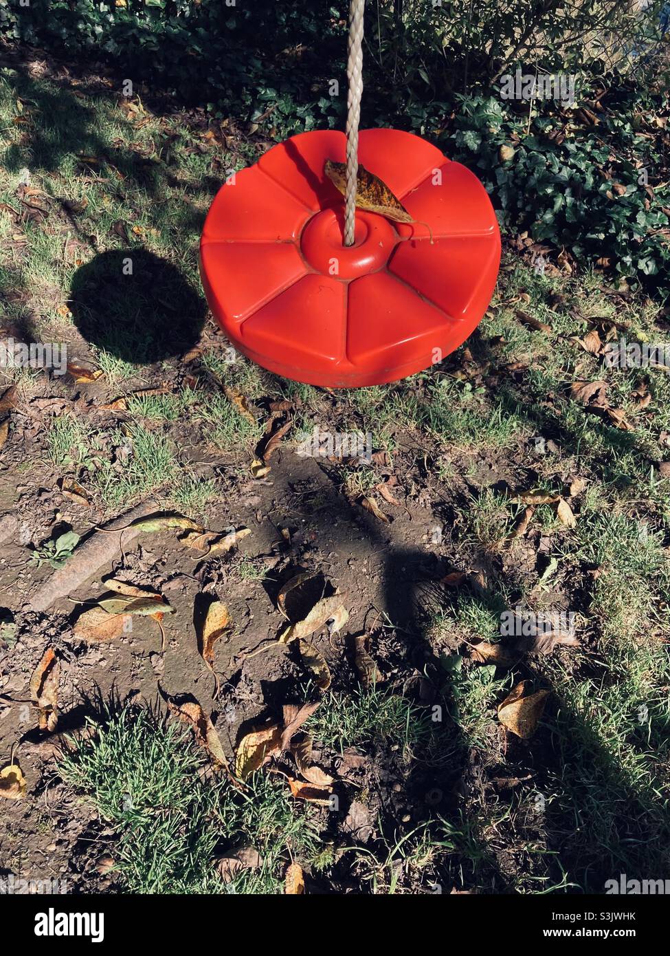 A red round swing hangs on a rope abandoned in autumn Stock Photo - Alamy