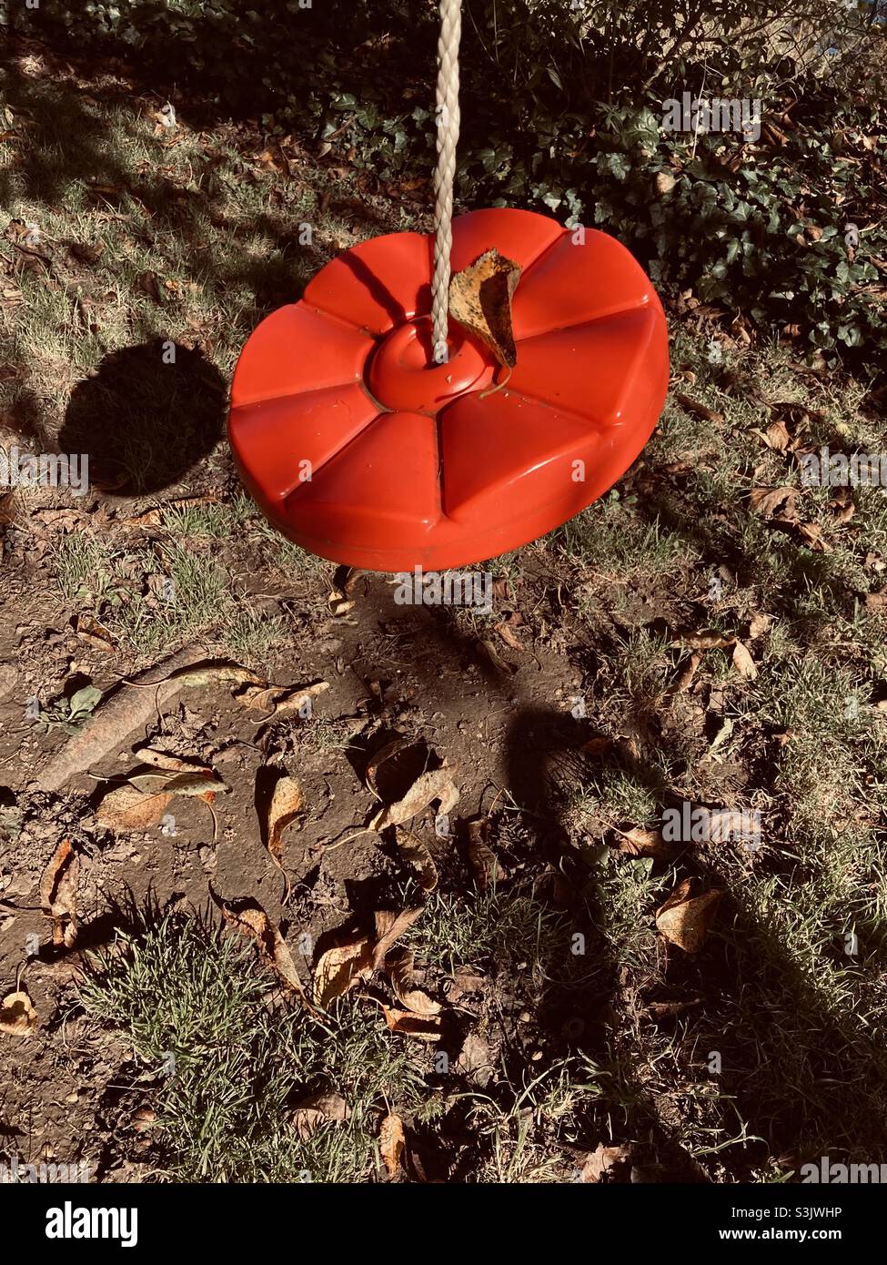 A red round swing hangs on a rope abandoned in autumn Stock Photo - Alamy