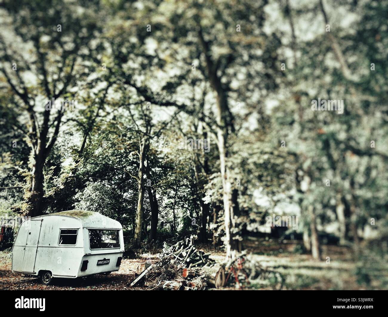 Caravan in the woods Stock Photo - Alamy