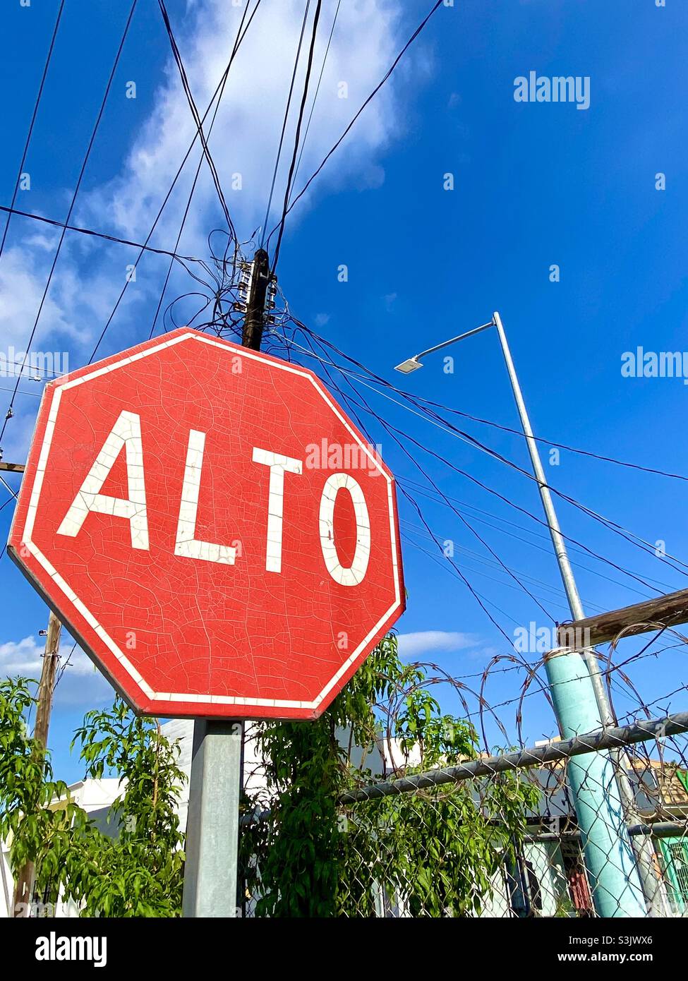 Stop sign scene in Cabo San Lucas, Mexico Stock Photo - Alamy