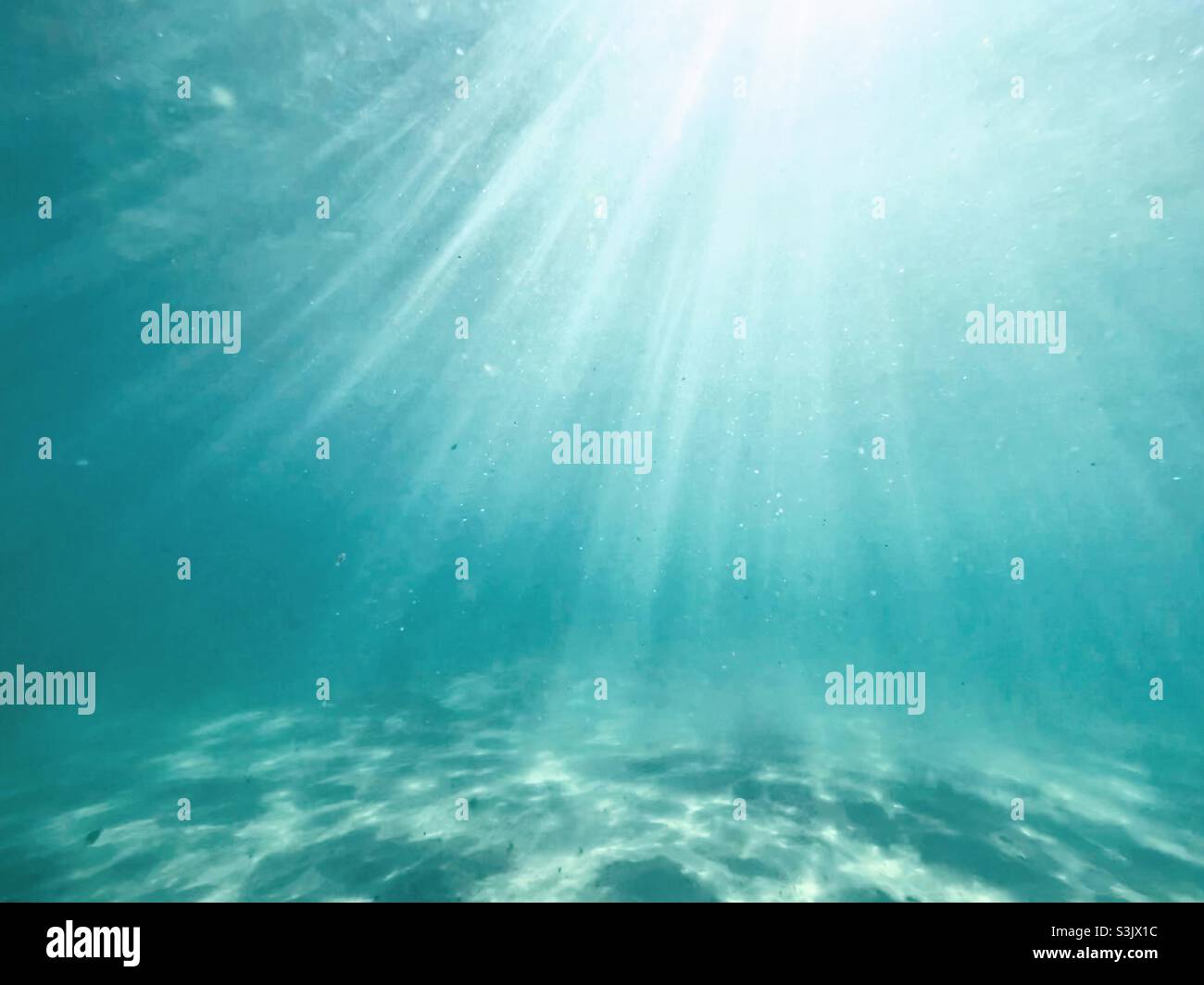 Rays Surf High Resolution Stock Photography and Images - Alamy