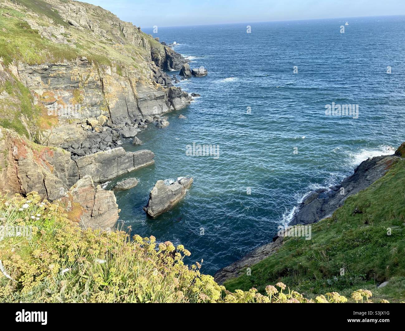 The lizard. Cornwall Stock Photo - Alamy