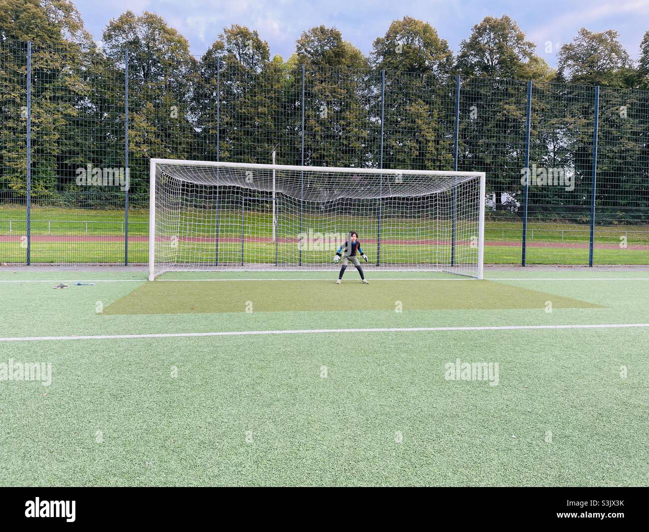 Goaly High Resolution Stock Photography and Images - Alamy