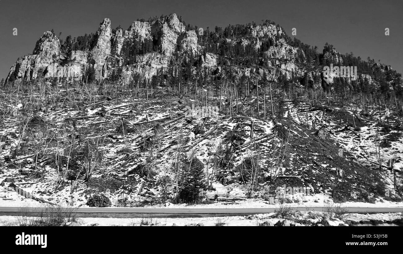 Fallen timber hi-res stock photography and images - Alamy