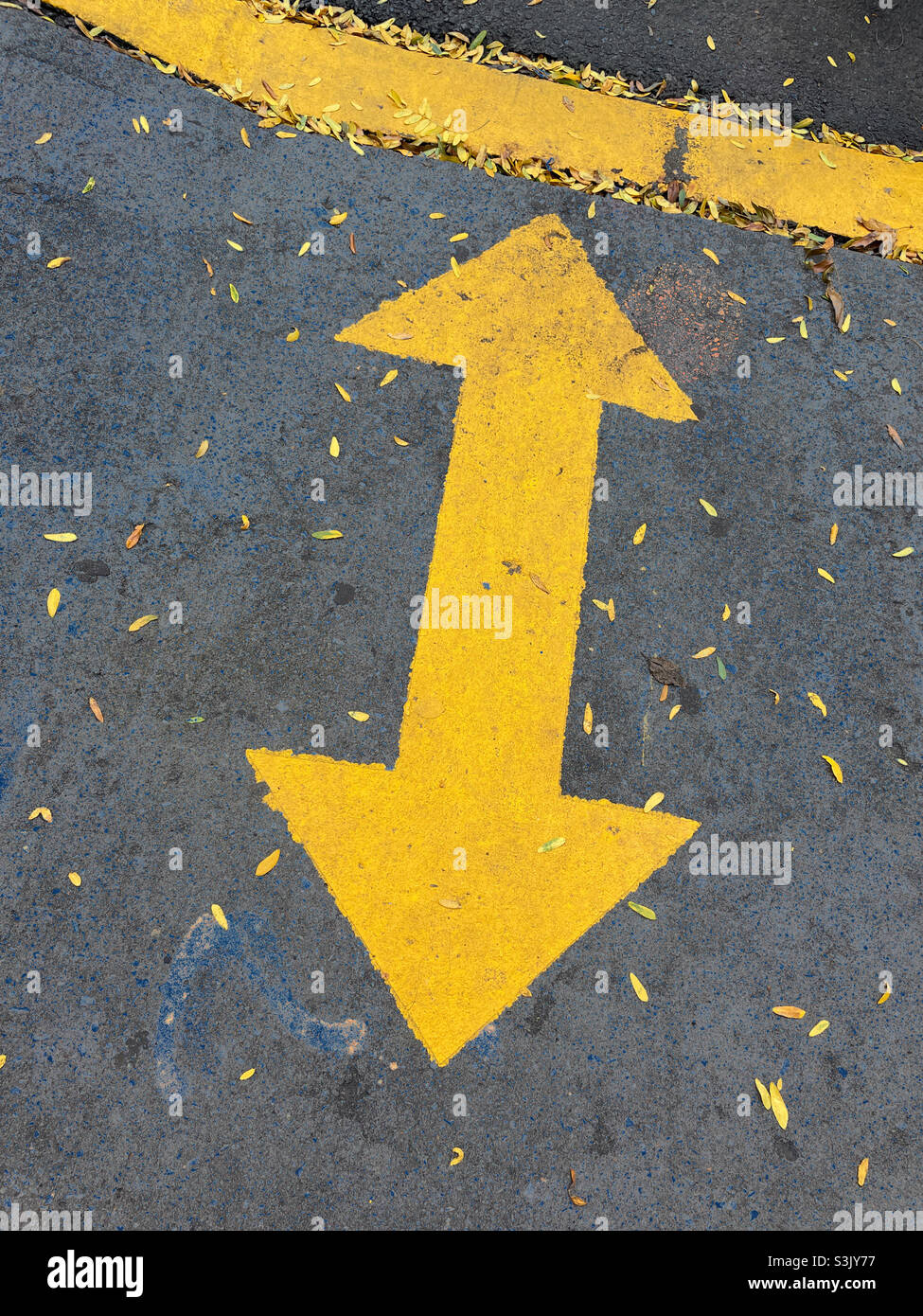 Yellow two directional arrow painted on a city sidewalk Stock Photo - Alamy