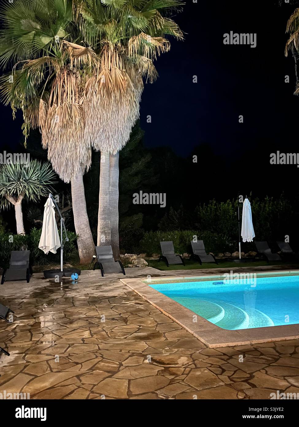 Night swimming hi-res stock photography and images - Alamy