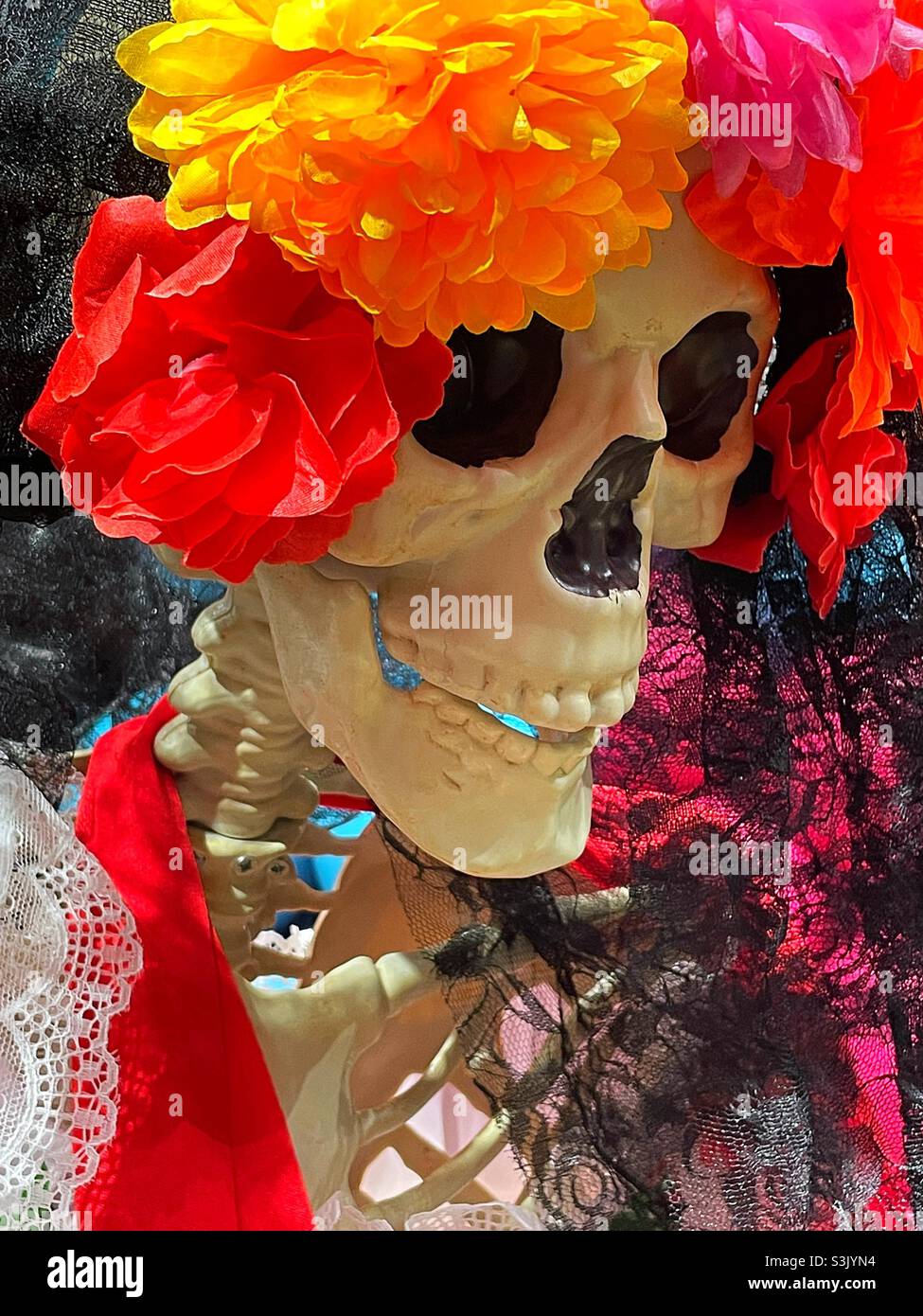 Halloween is celebrated in Mexico as Day of the dead Stock Photo - Alamy