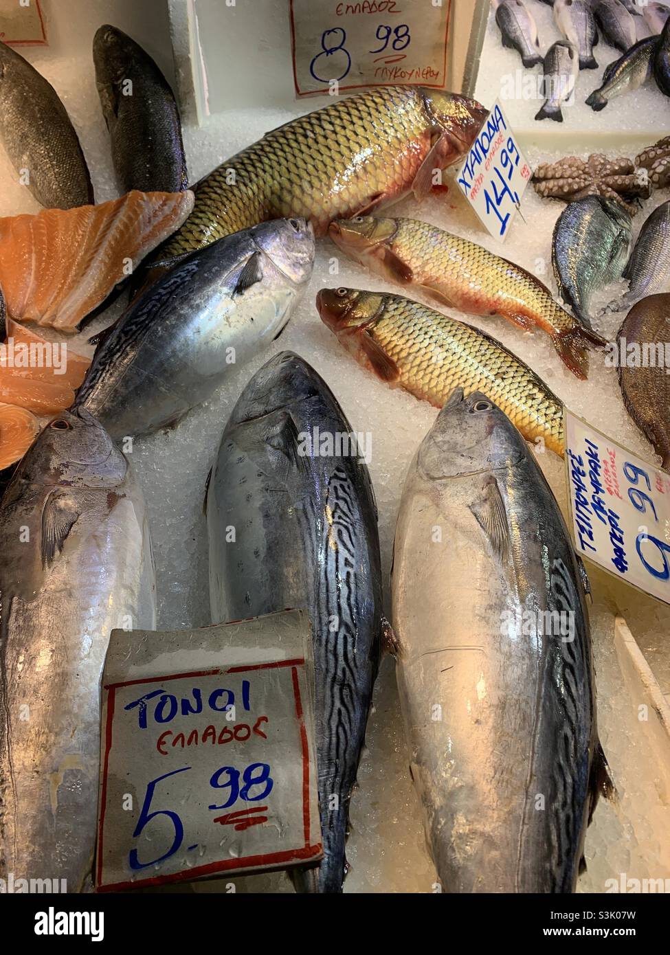 Variety of fish hi-res stock photography and images - Alamy