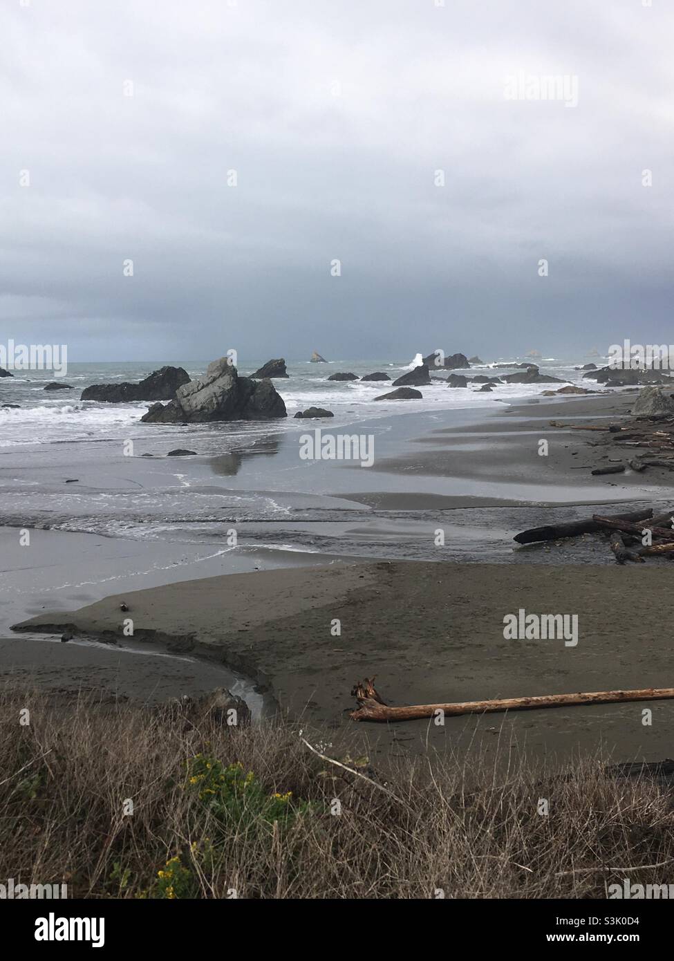 Harris beach state park hi-res stock photography and images - Alamy