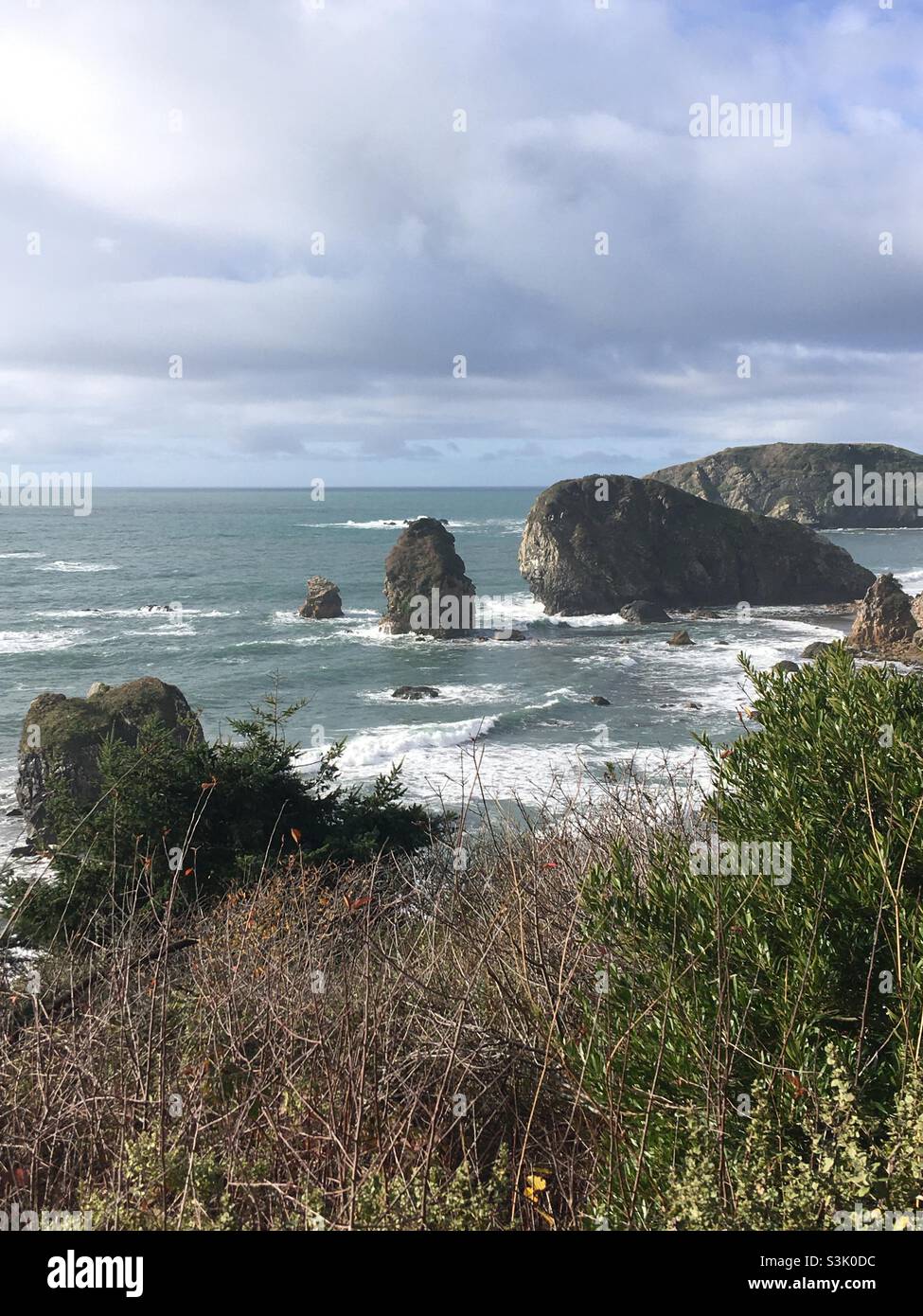 Harris beach state park hi-res stock photography and images - Alamy