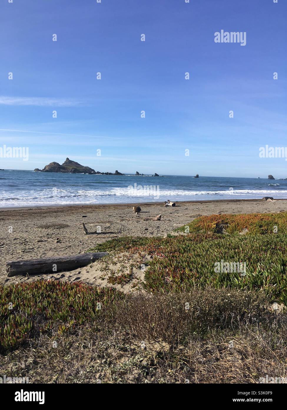 Crescent city beach hi-res stock photography and images - Alamy